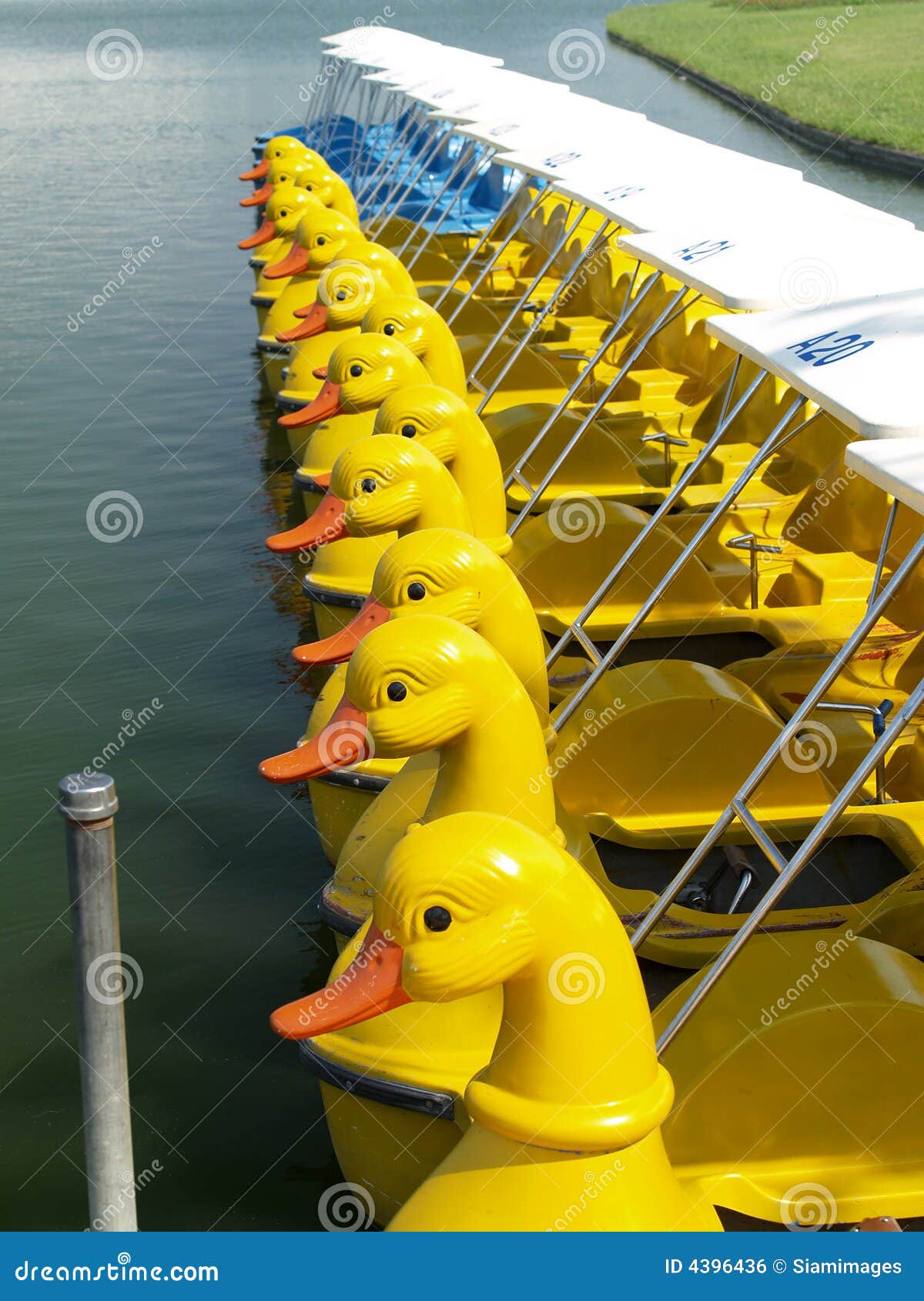 Duck boat 4 stock photo. Image of duck, nature, garden - 4396436