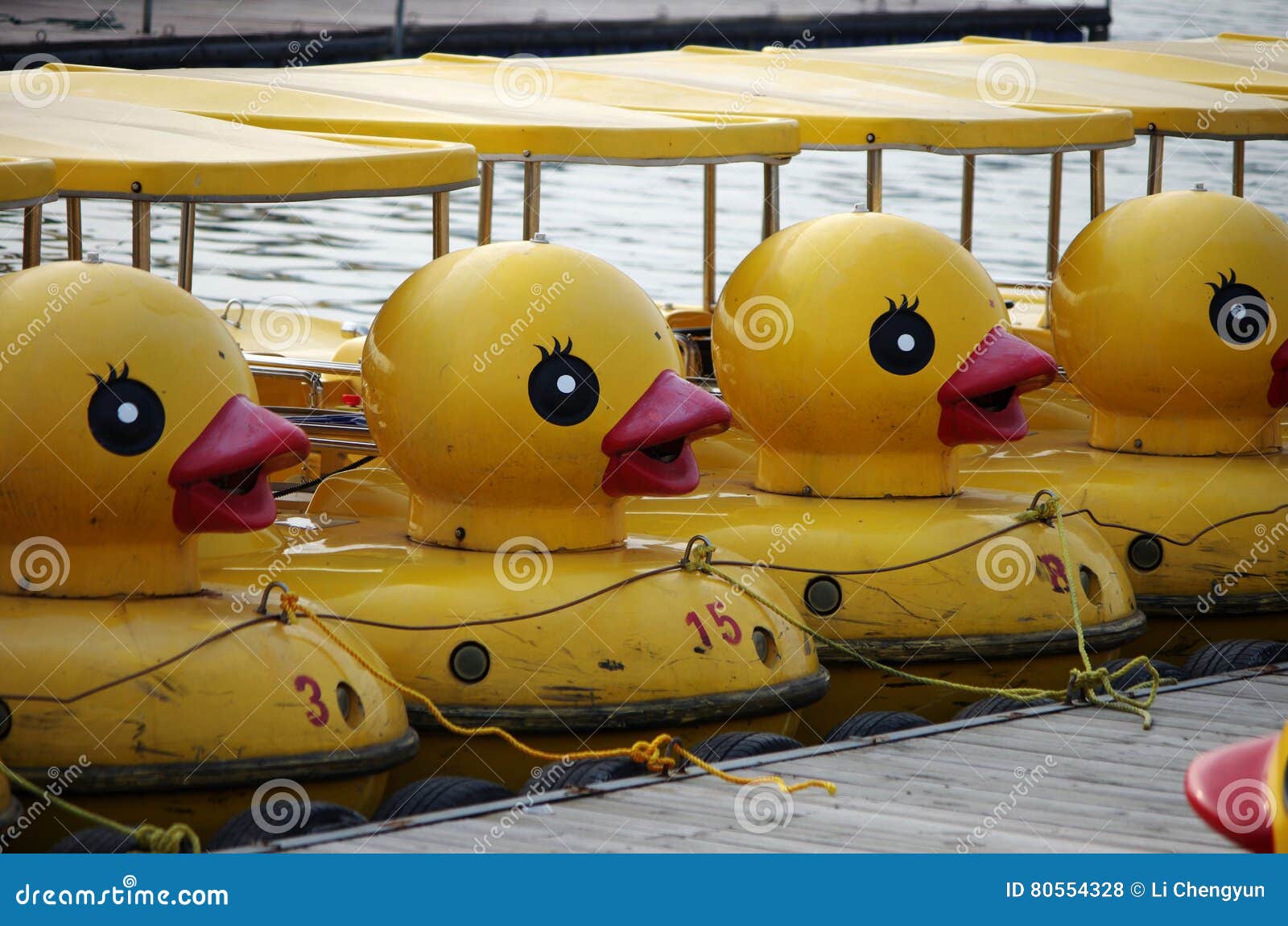 The duck boat stock photo. Image of cartoon, color, boat - 80554328