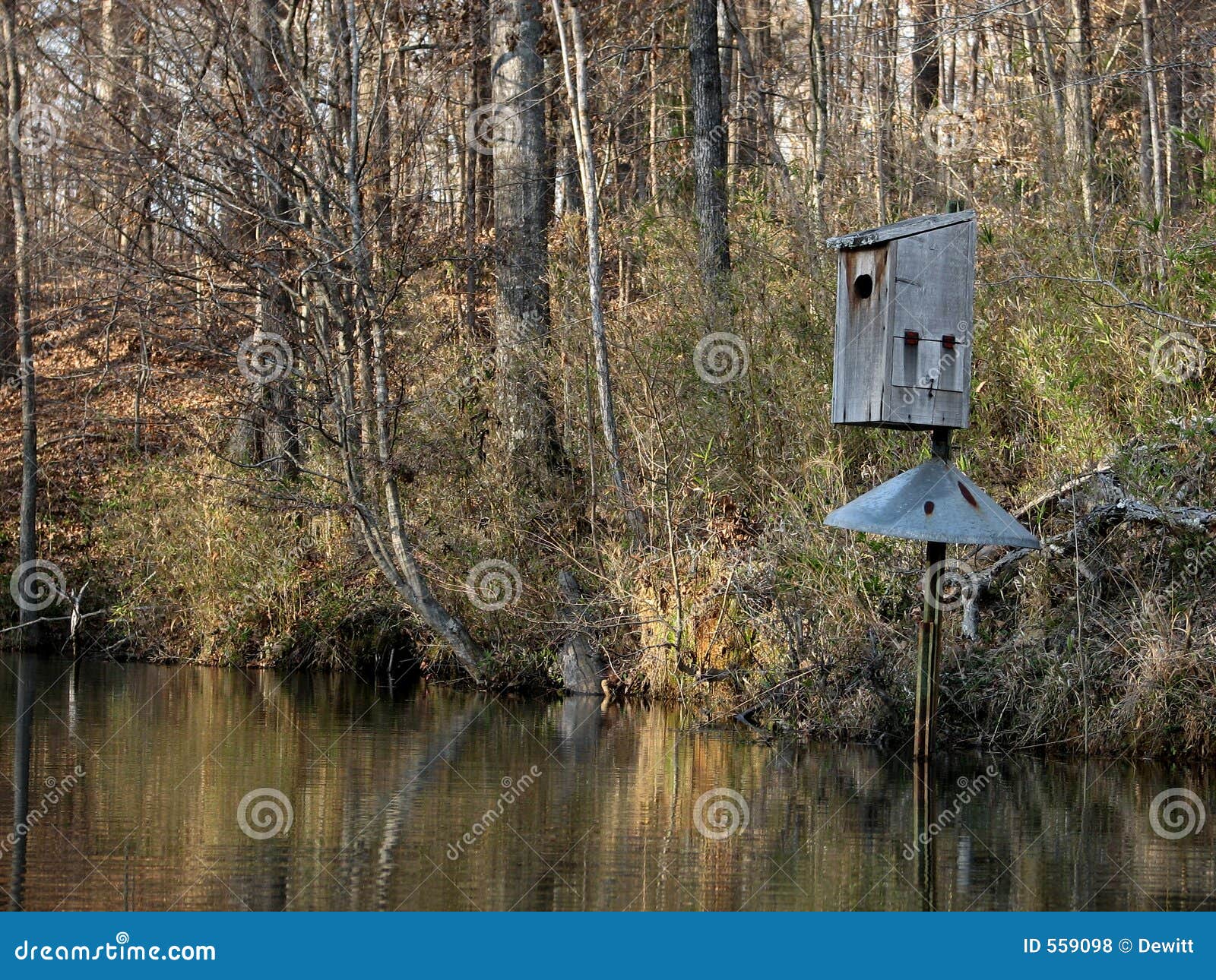 Duck Box stock photo. Image of migratory, water, waterfowl - 559098