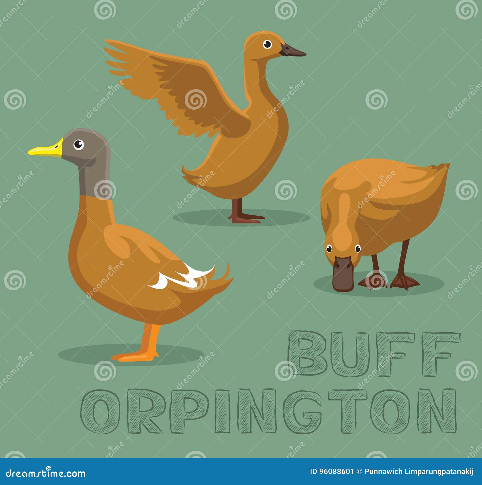 Duck Buff Orpington Cartoon Vector Illustration Stock Vector ...