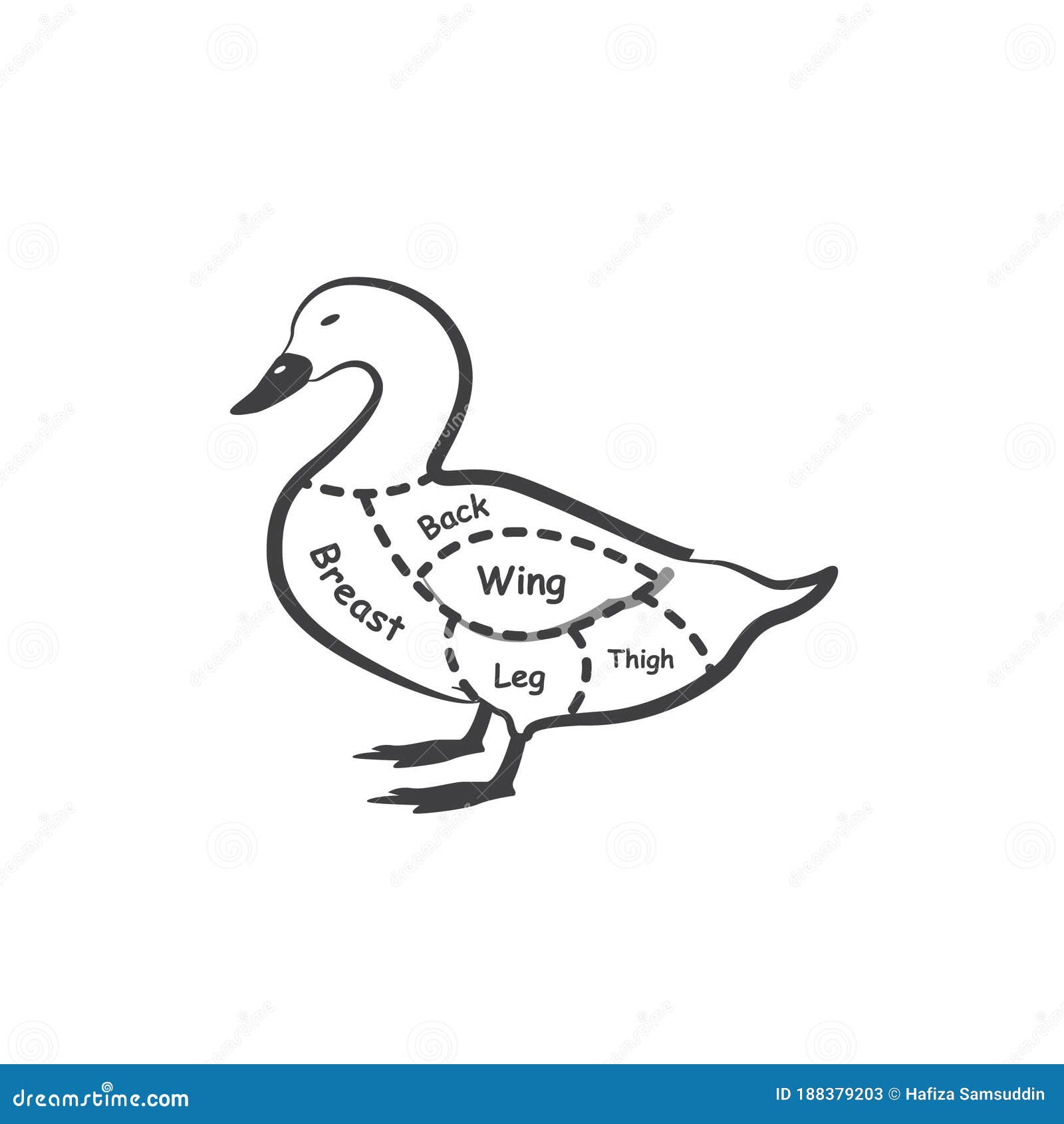 Duck Butcher Cut Chart. Vector Illustration Decorative Design Stock ...