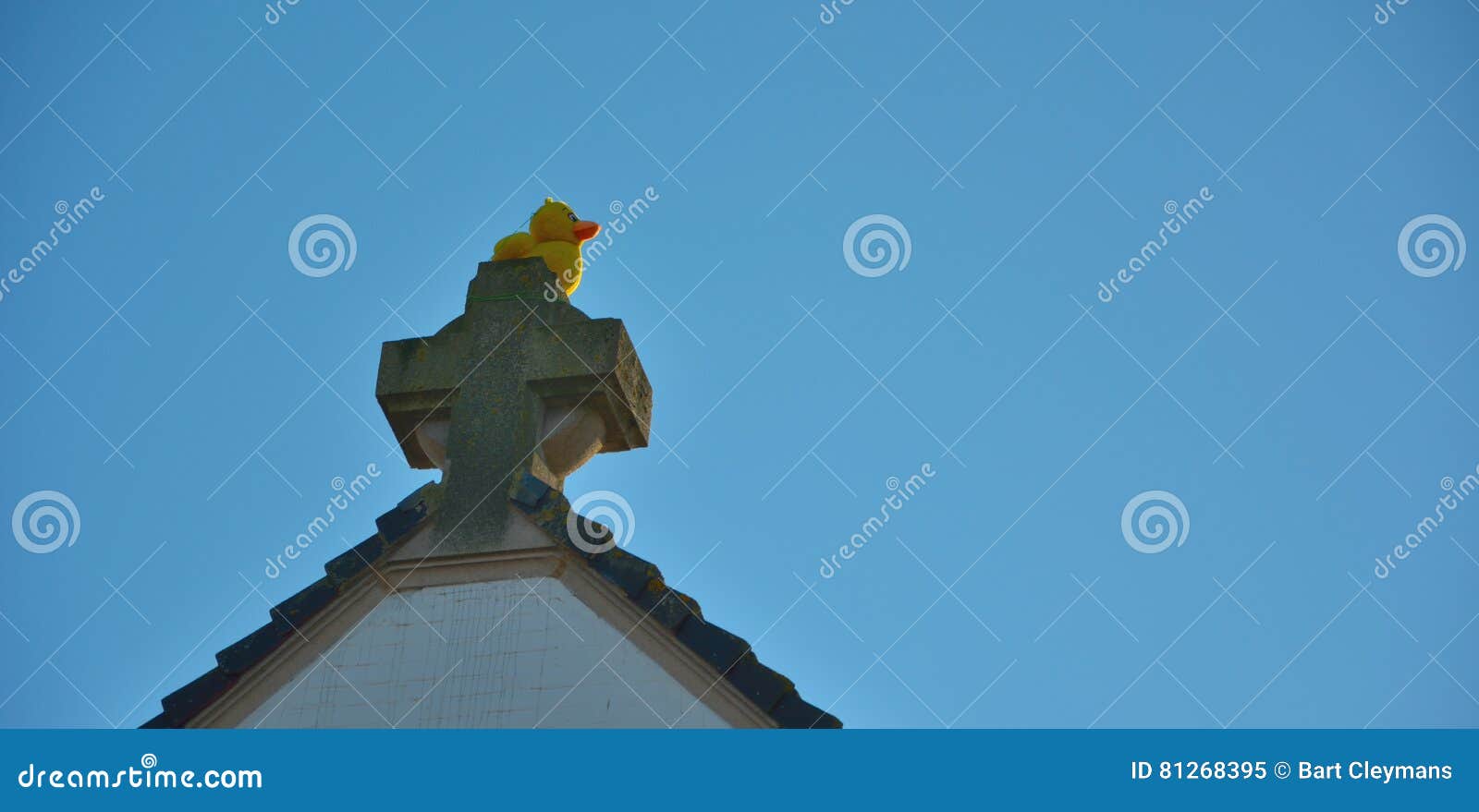 Duck on a christian cross stock image. Image of alone - 81268395