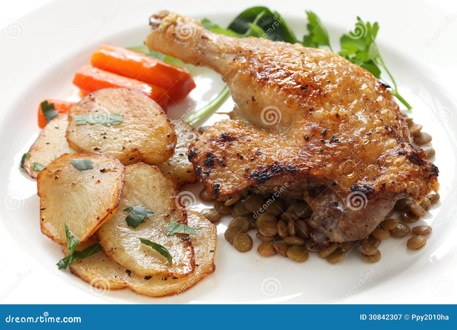 Duck confit stock image. Image of gourmet, french, goose - 30842307