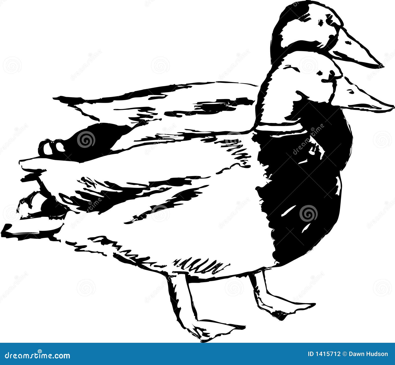 Duck couple stock illustration. Illustration of drawing - 1415712