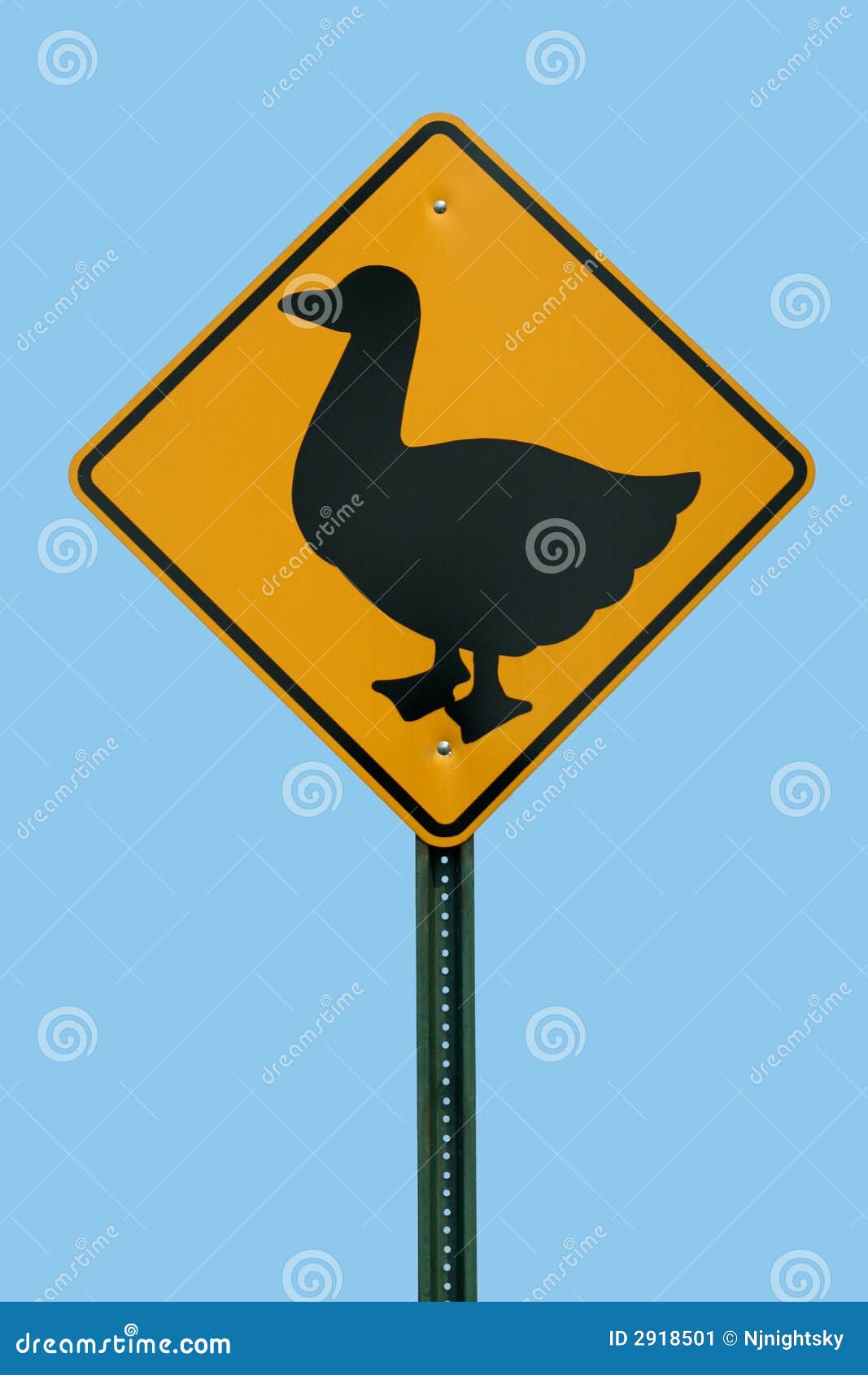 Duck crossing sign stock image. Image of animal, traffic - 2918501