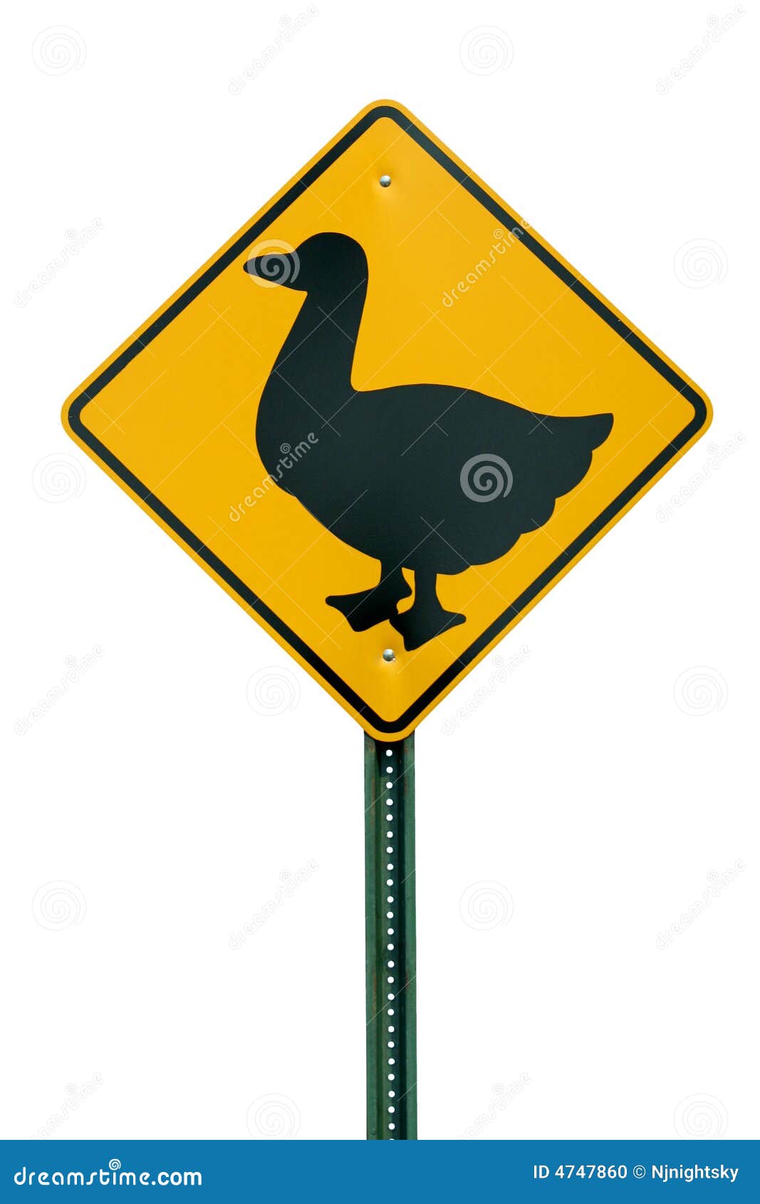 Duck crossing sign stock photo. Image of road, sign, traffic - 4747860
