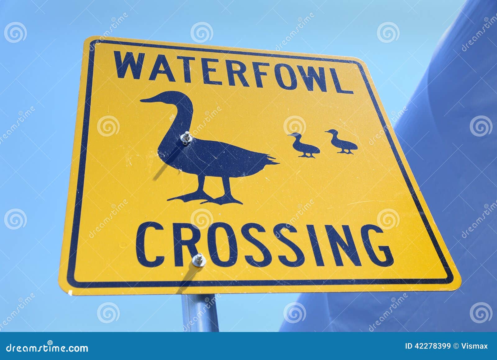 Duck Crossing Sign stock image. Image of color, danger - 42278399