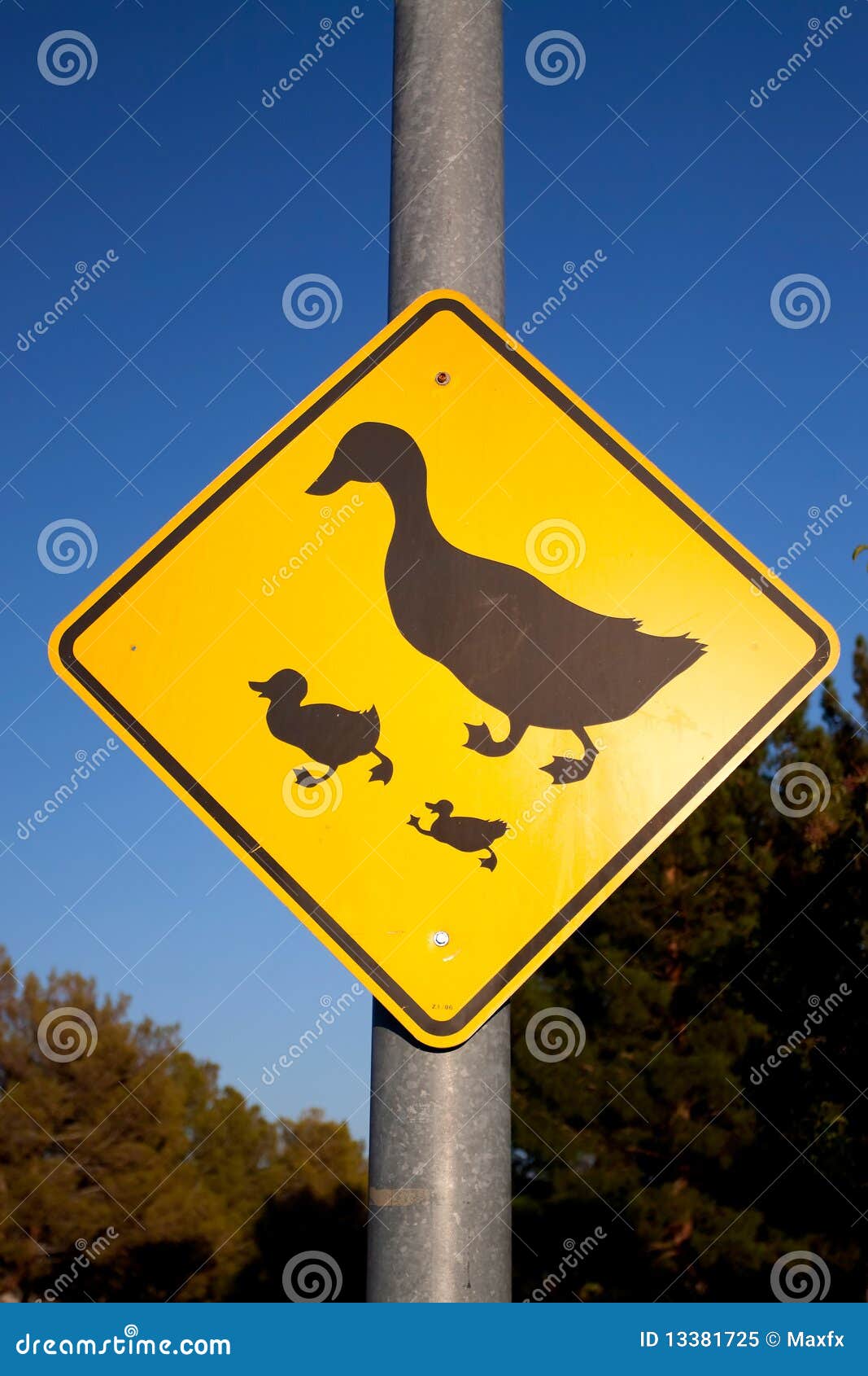 Duck crossing traffic sign stock image. Image of caution - 13381725