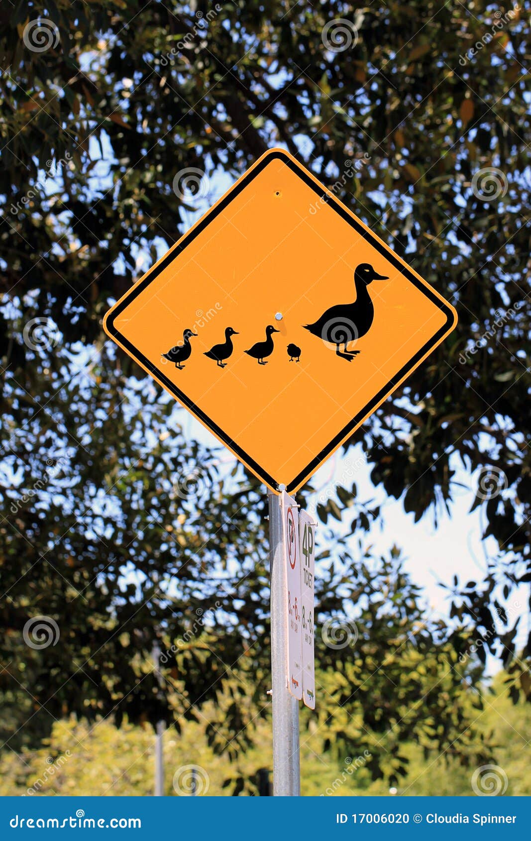 Duck Crossing Warning Road Sign Stock Photo - Image of rule, driving ...