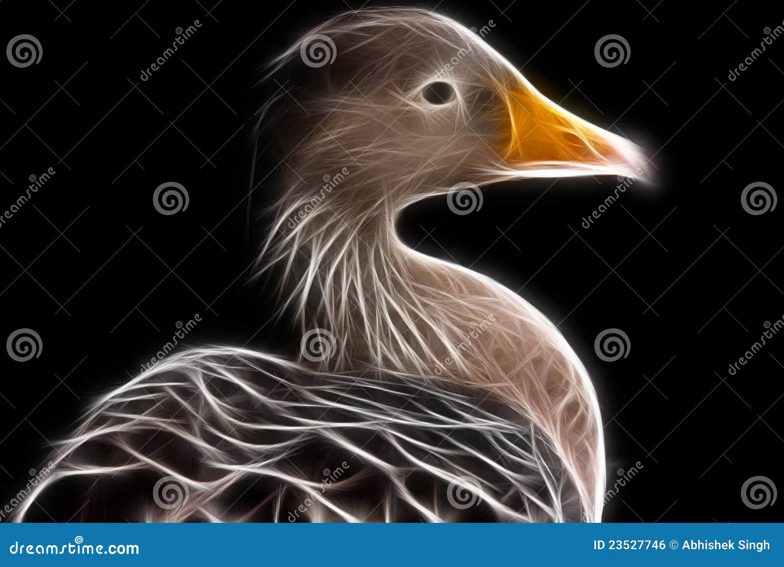 Duck Digital Painting stock photo. Image of bird, mallard - 23527746