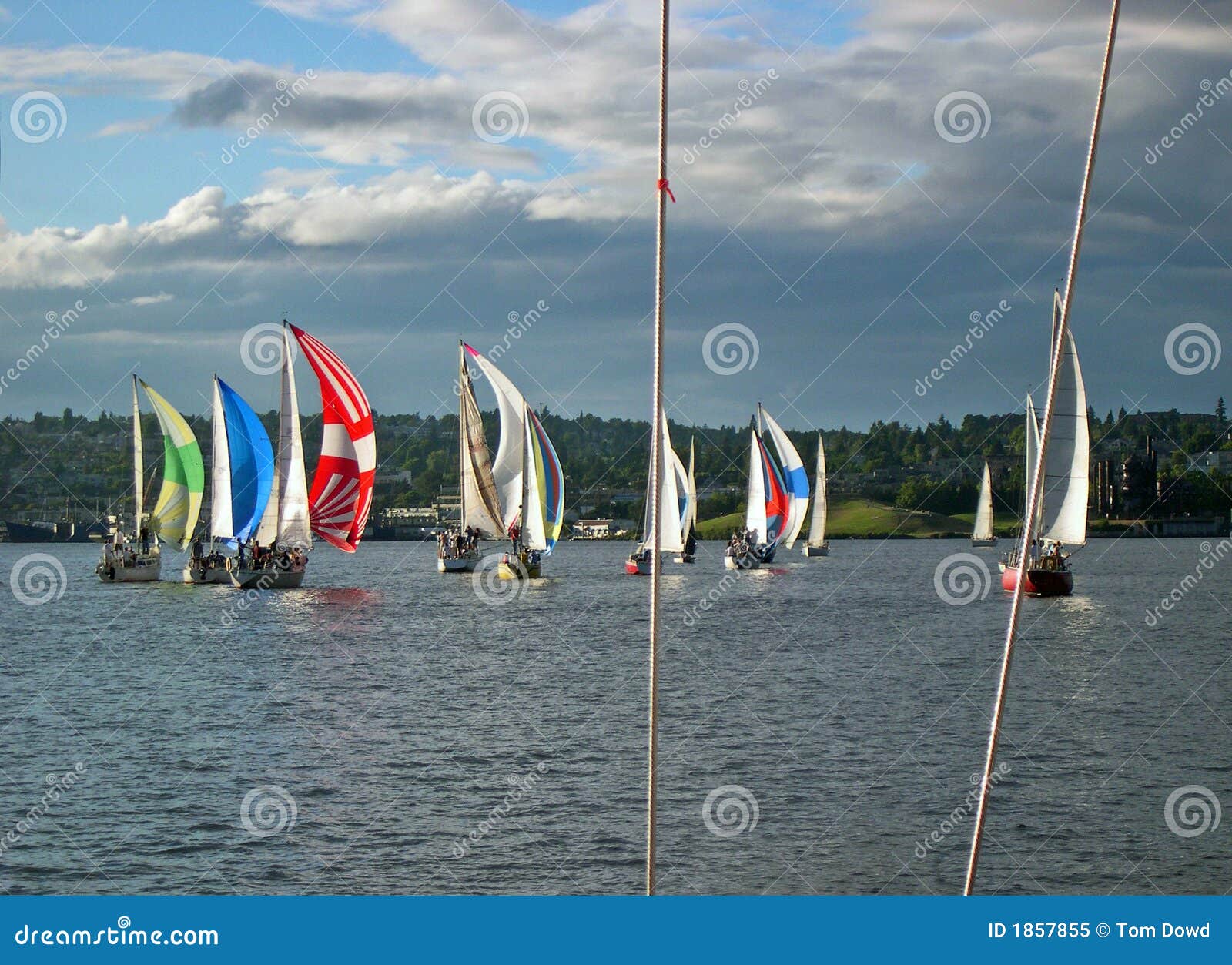 Duck Dodge stock image. Image of captain, light, wind - 1857855