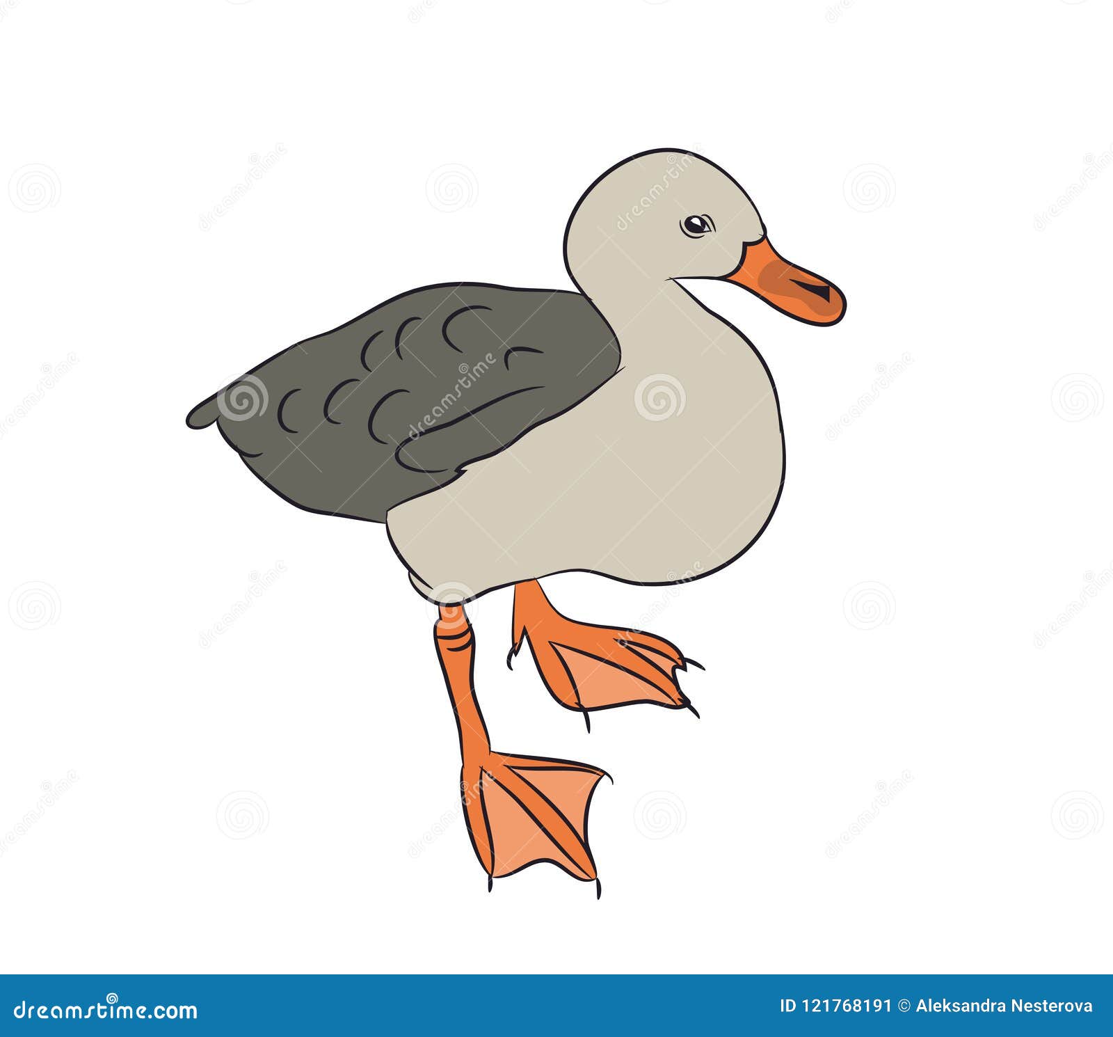 Duck drake. vector stock vector. Illustration of colorful - 121768191