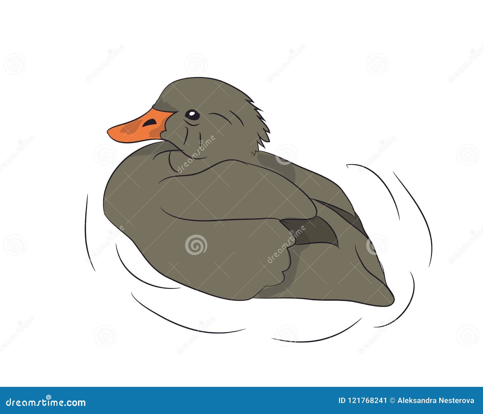 Duck drake. vector stock vector. Illustration of goose - 121768241