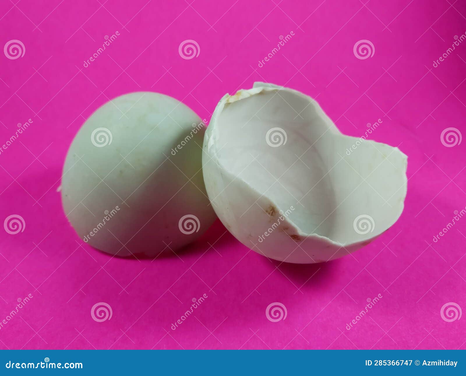 Duck Egg Broken into Two Parts after Hatching, Close Up. Stock Image ...