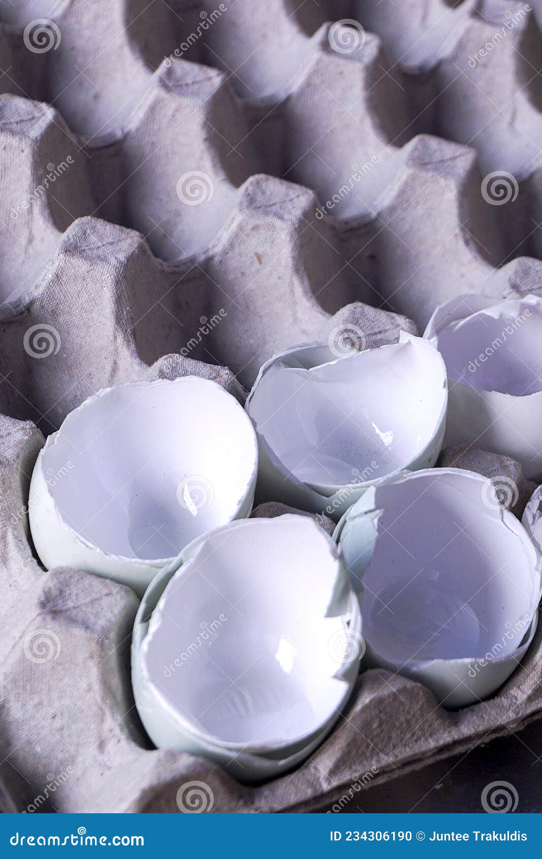 Duck egg stock photo. Image of smudges, life, healthy - 234306190