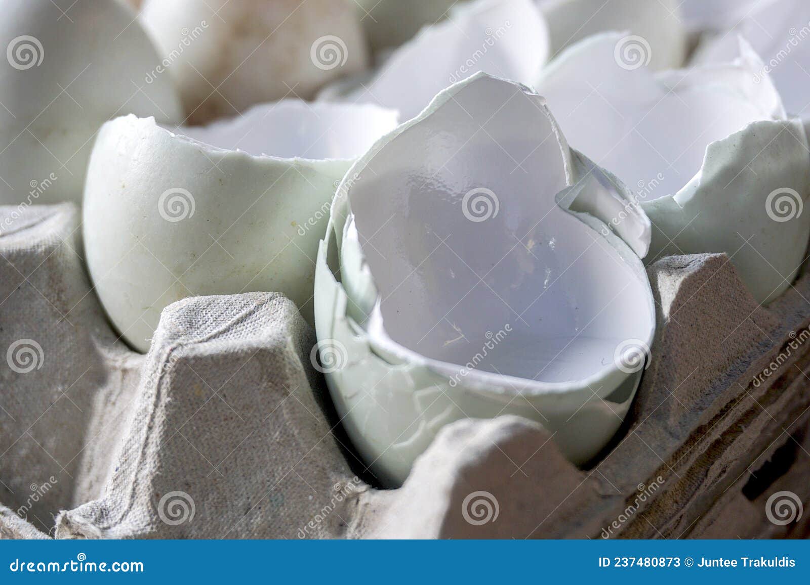 Duck egg stock image. Image of group, nutrition, life - 237480873