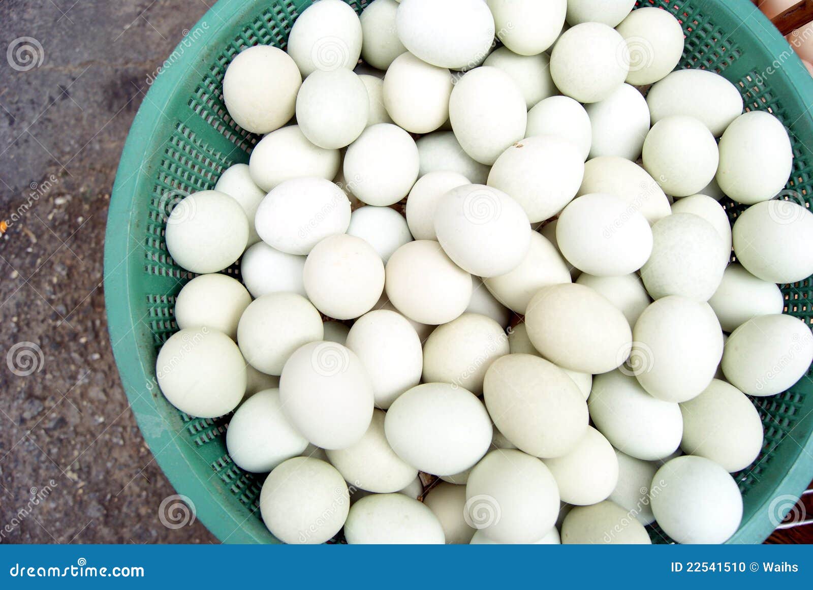 Duck eggs stock photo. Image of eggs, blue, delicious - 22541510