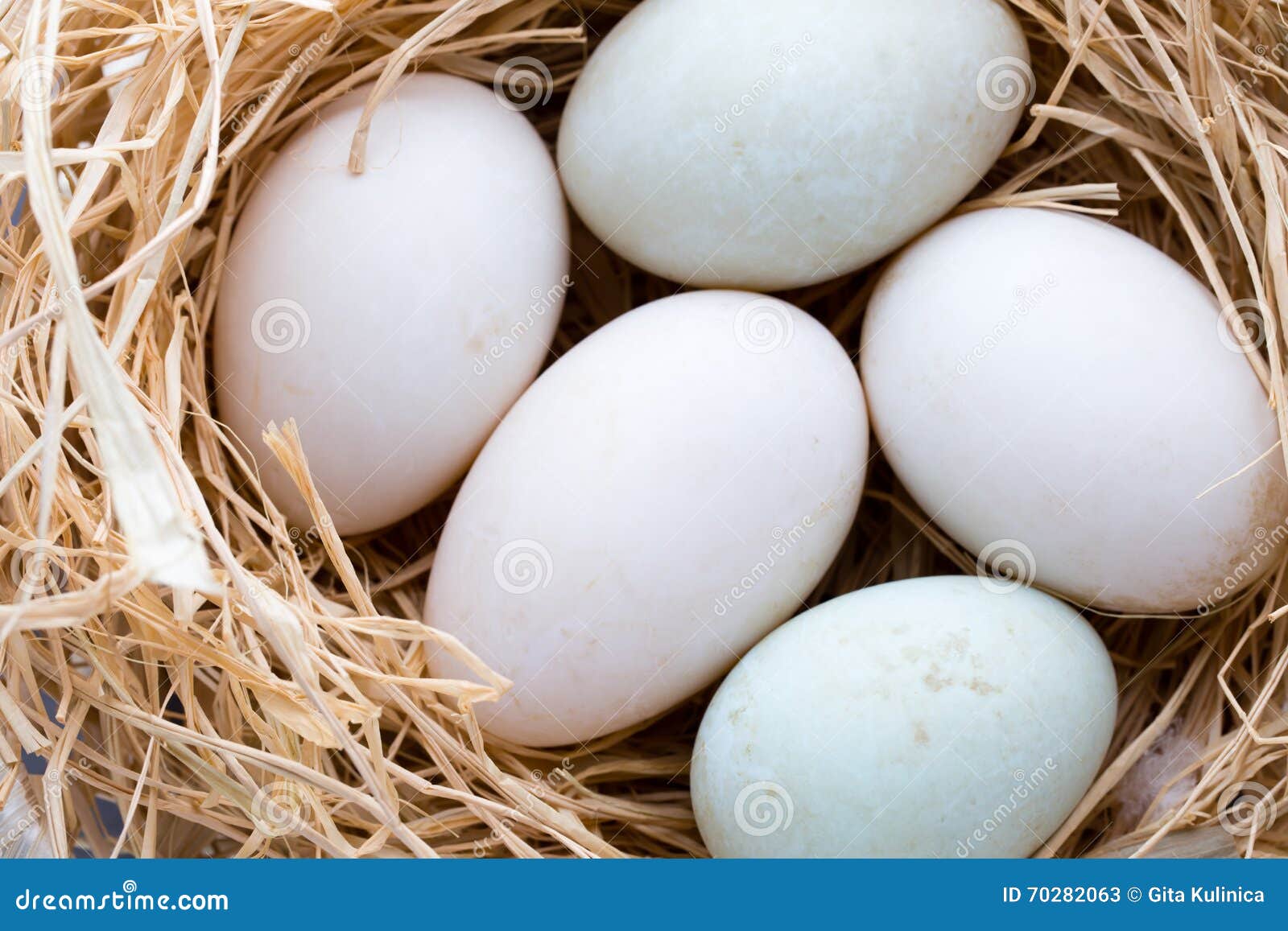Duck Eggs Nest, Spring Easter Symbol. Stock Image - Image of nest, food ...