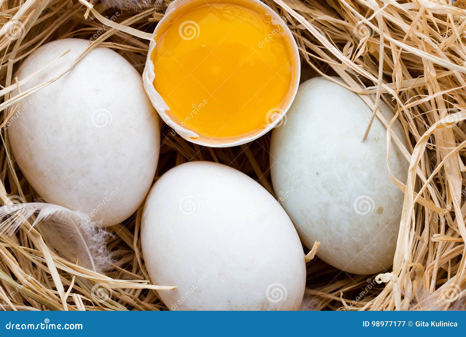 Duck Eggs Nest, Spring Easter Symbol. Stock Image - Image of dinner ...