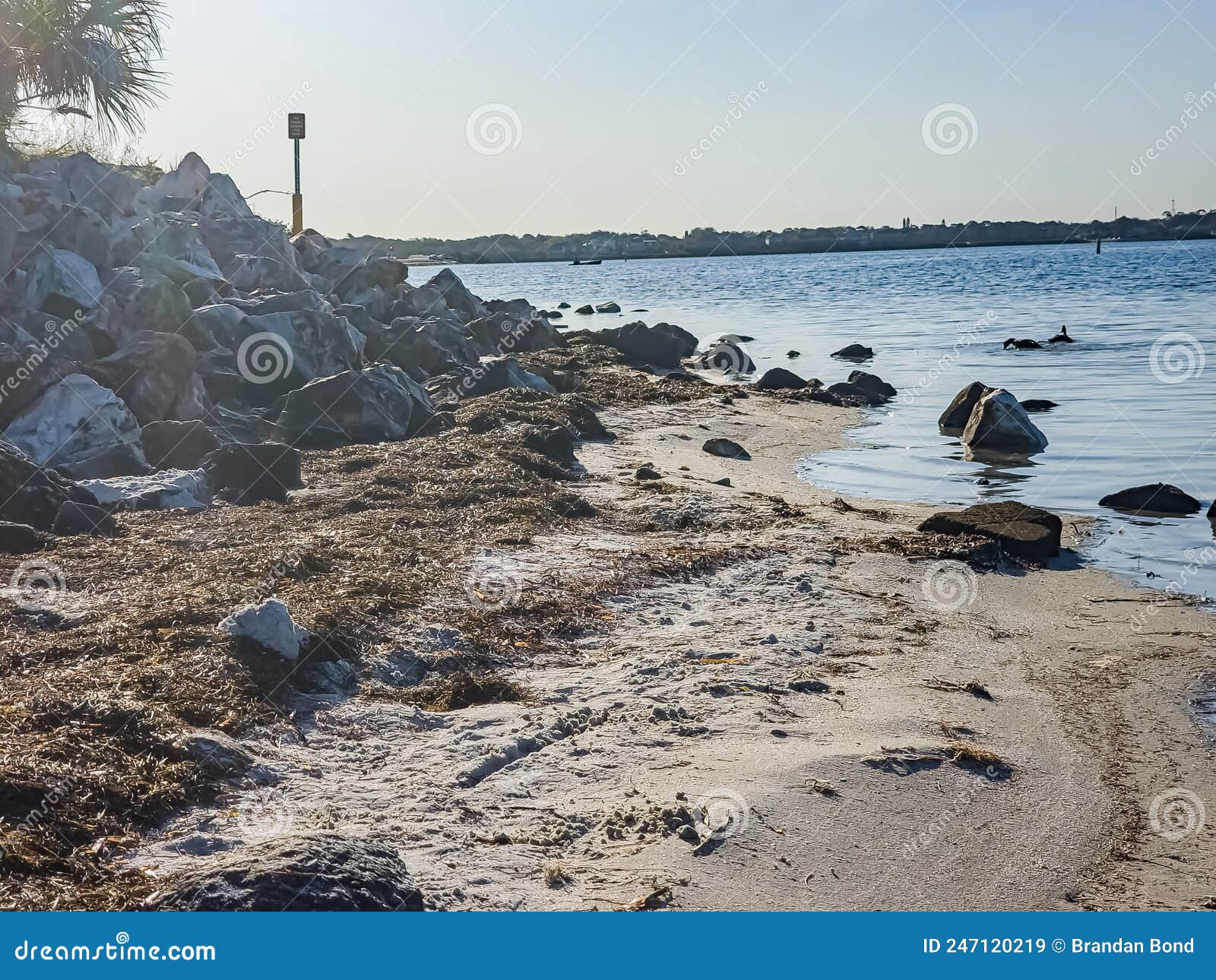 Sandy Rock Beach stock image. Image of shore, cliff - 247120219