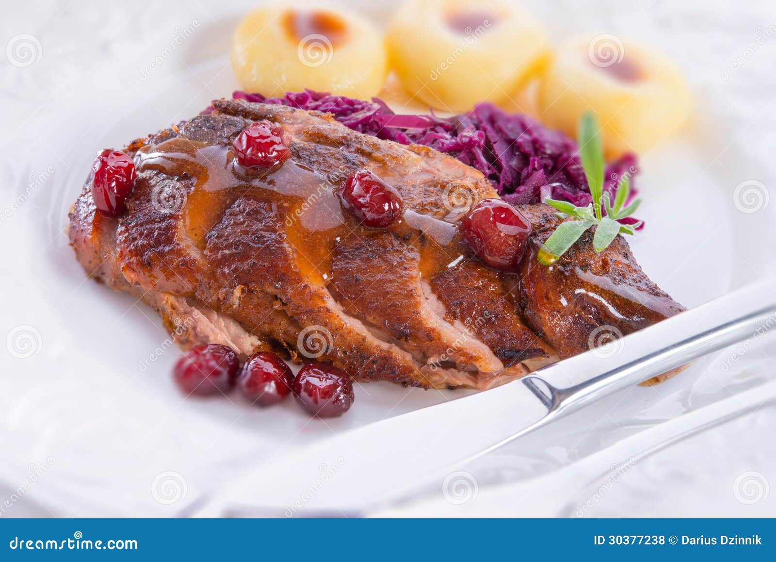 Duck fillet stock photo. Image of cranberry, gourmet - 30377238