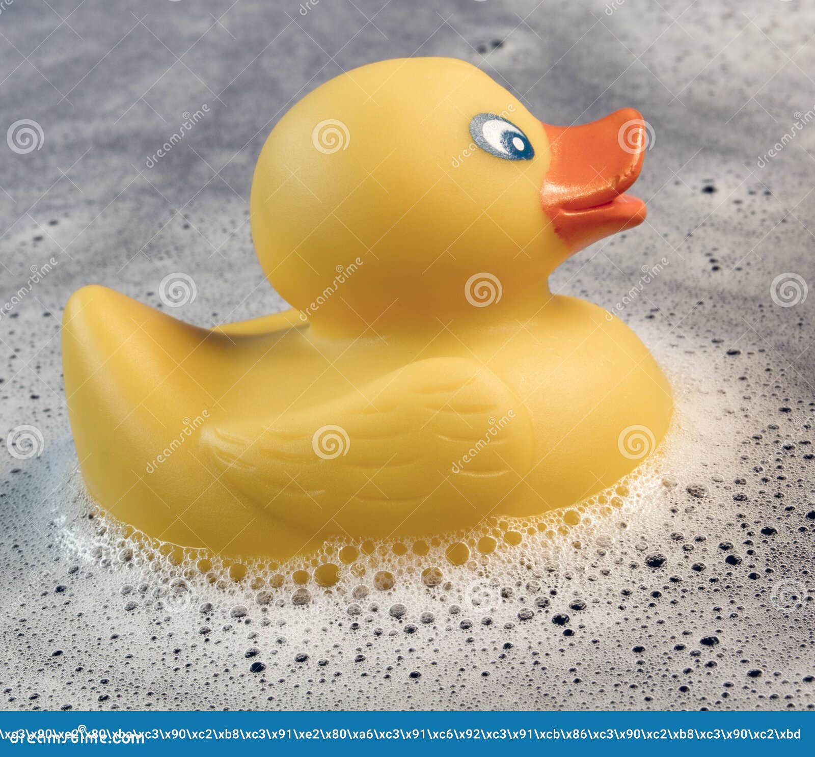Duck and foam stock photo. Image of rubber, play, object - 47572432