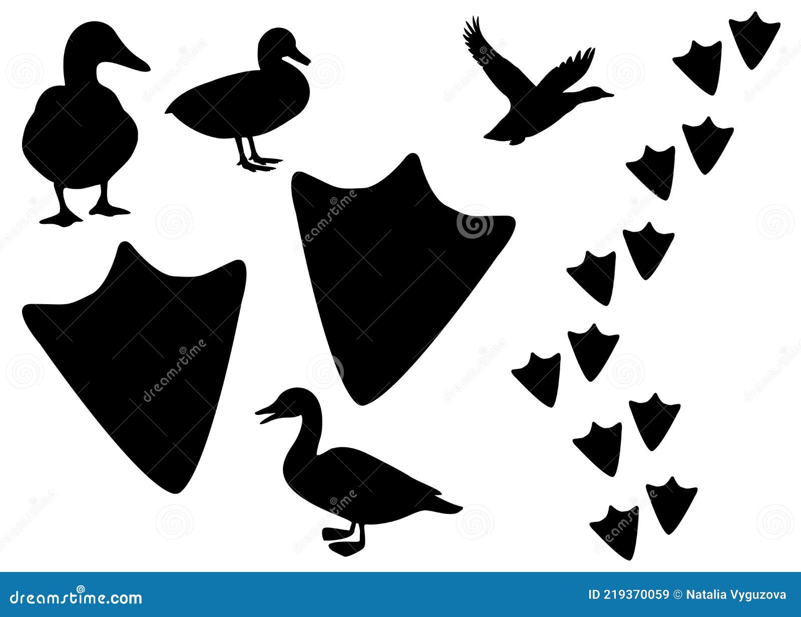 Duck and Duck Footprints in the Set. Stock Vector - Illustration of ...