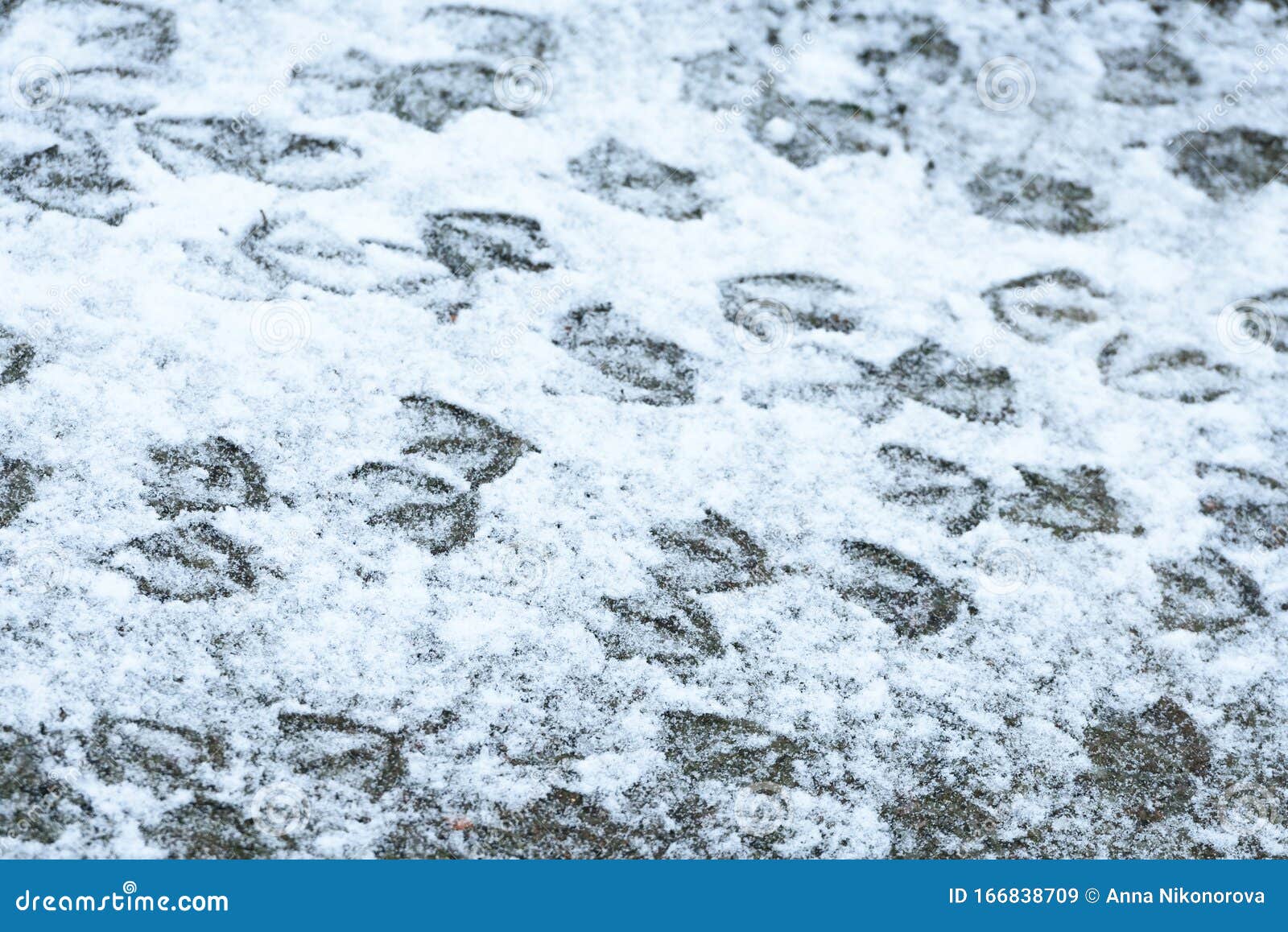 Duck Footprints in the Snow-winter Natural Background. Stock Image ...