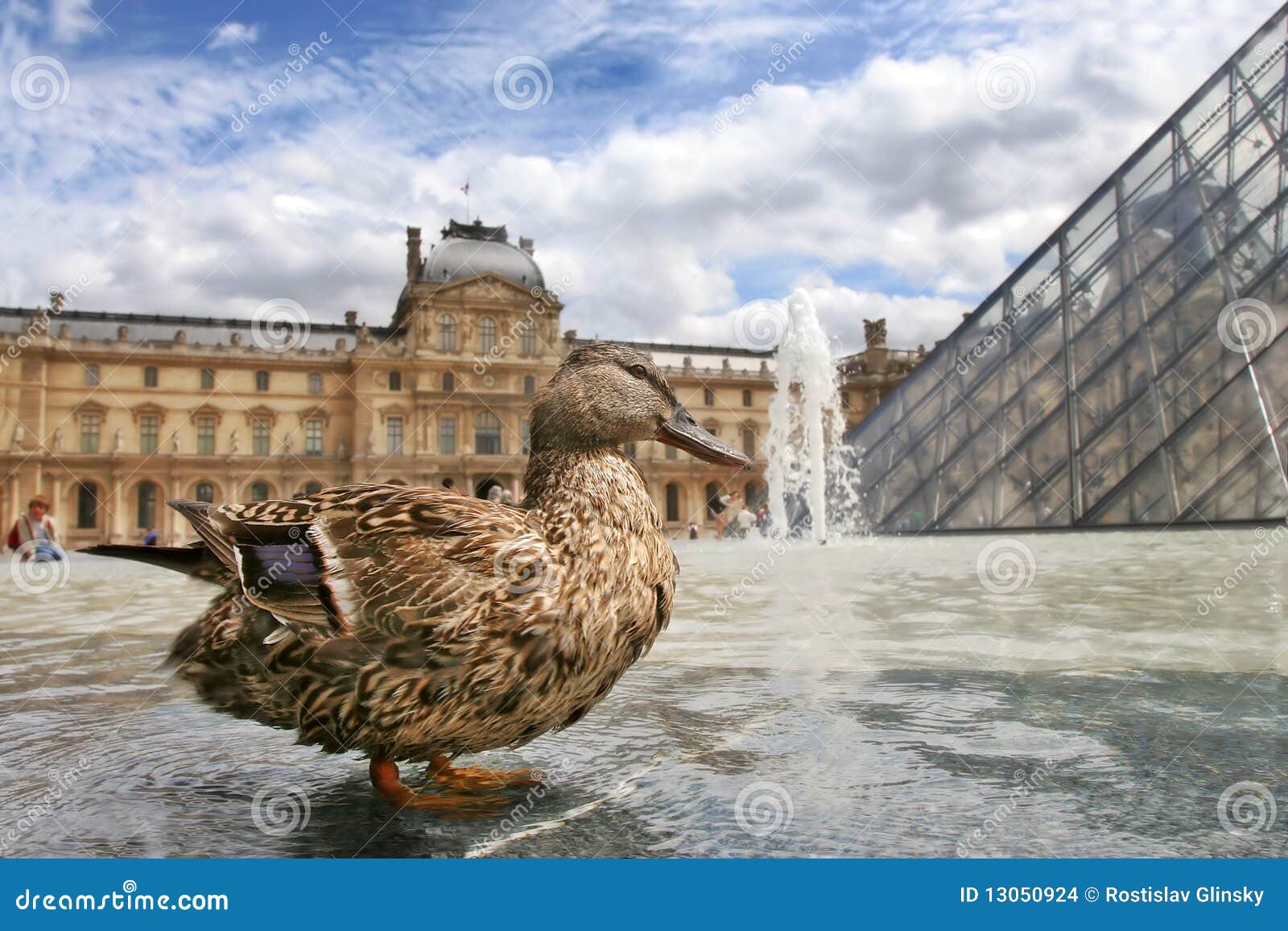 Duck in the Fountains in Front of Louvre Museum. Editorial Stock Image ...