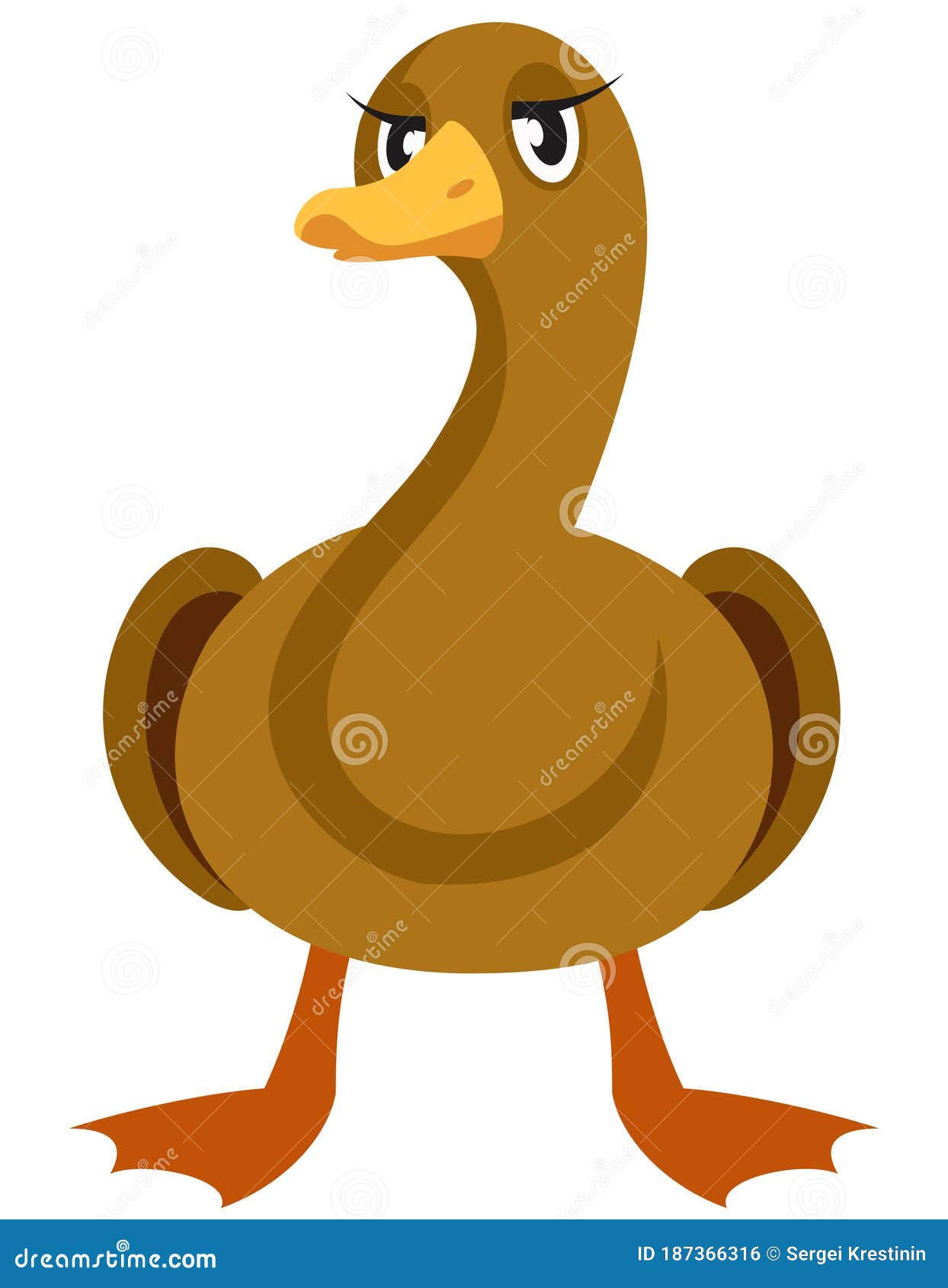 Duck front view stock illustration. Illustration of isolated - 187366316