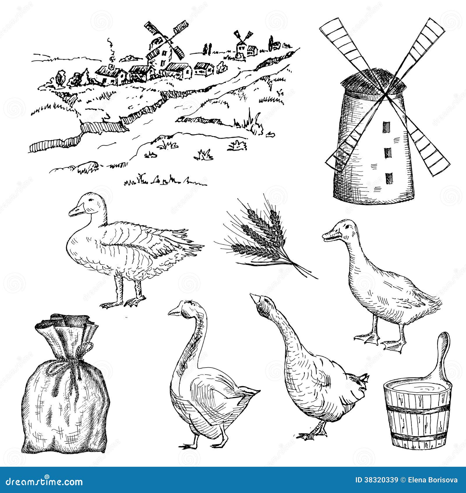 Duck and goose stock vector. Illustration of livestock - 38320339