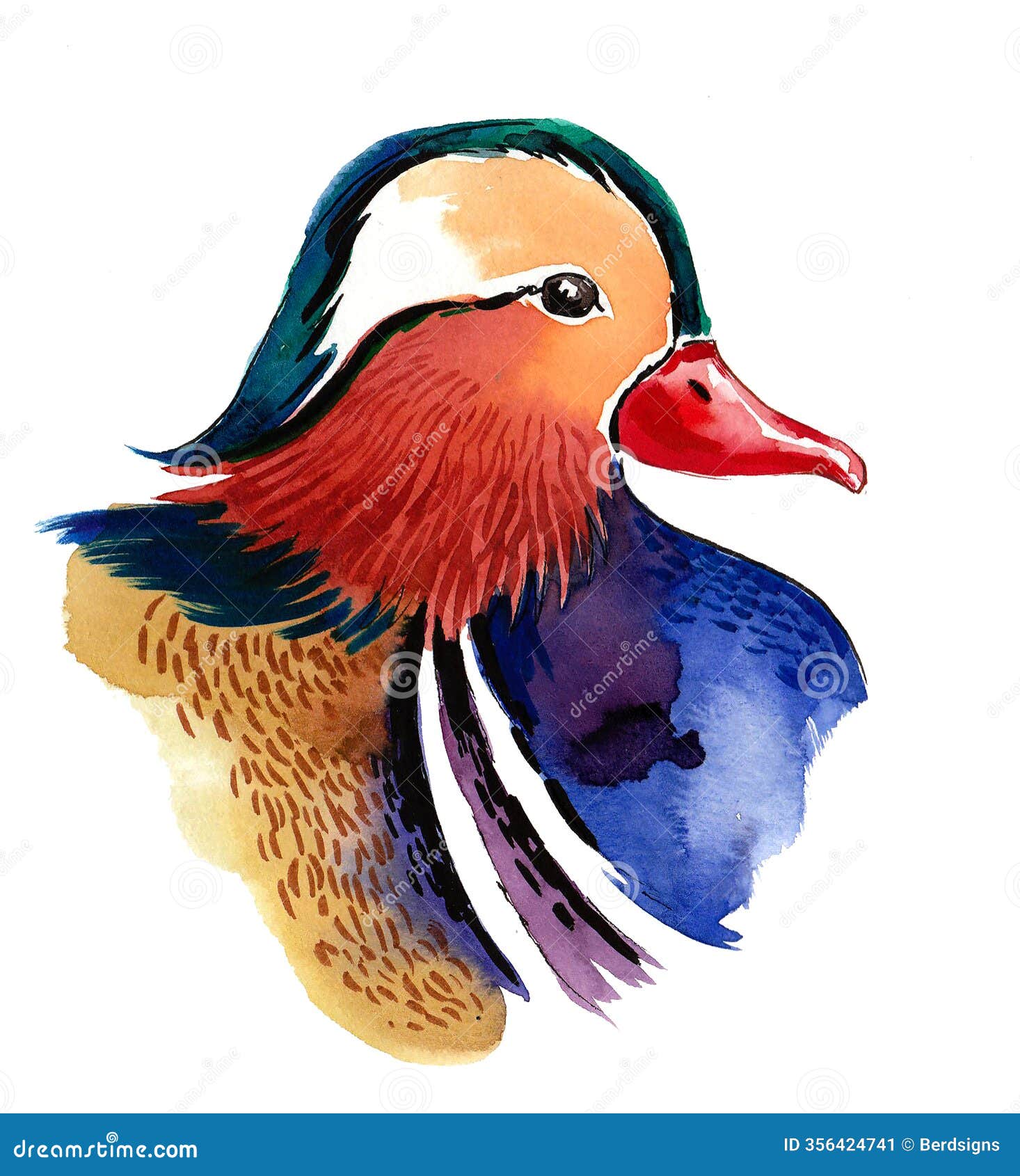 Duck head stock illustration. Illustration of watercolour - 356424741