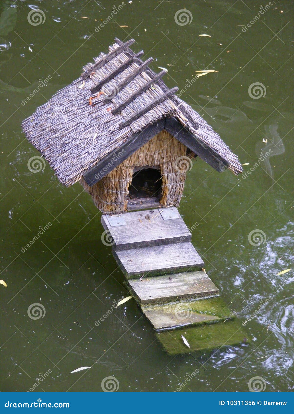 Duck house stock photo. Image of shelter, wood, lake - 10311356