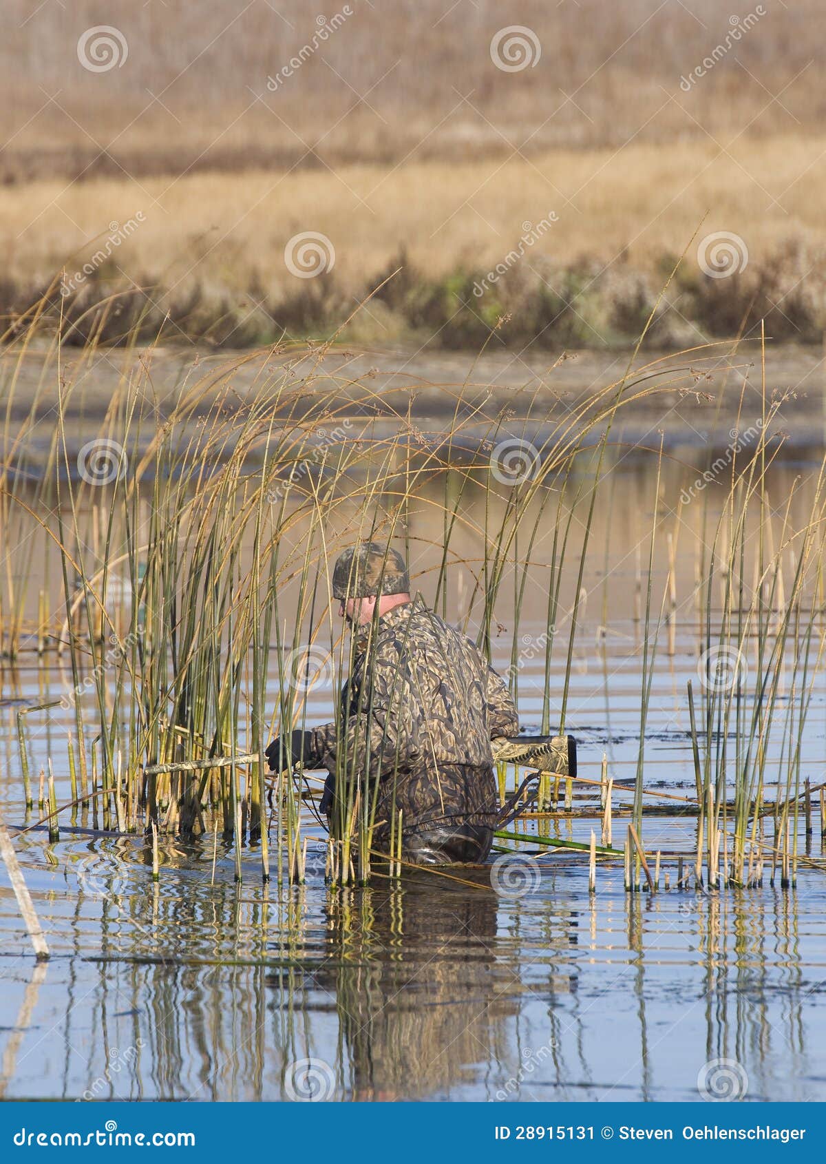 Duck Hunter stock image. Image of bird, duck, shooting - 28915131