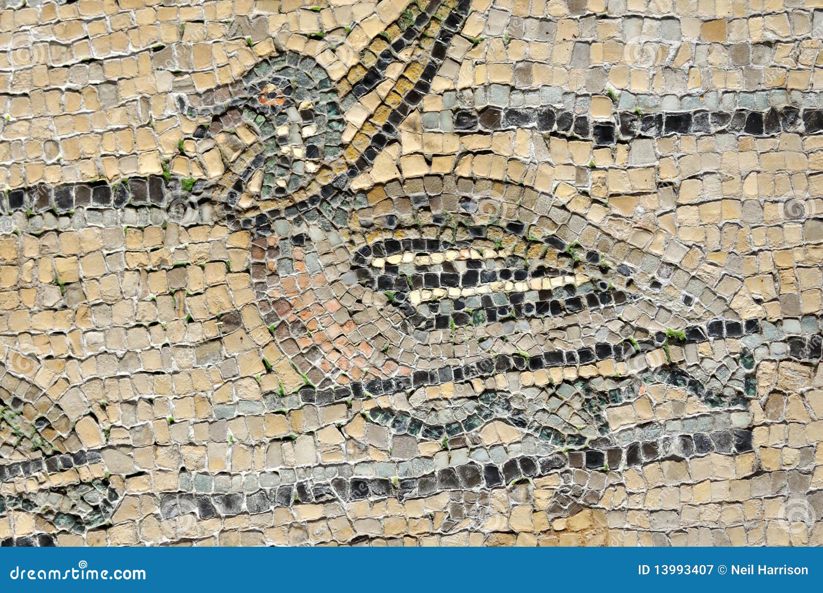 Duck Hunting In Spring. 12-gauge Rounds And A Camo Shotgun. 12 Gauge ...