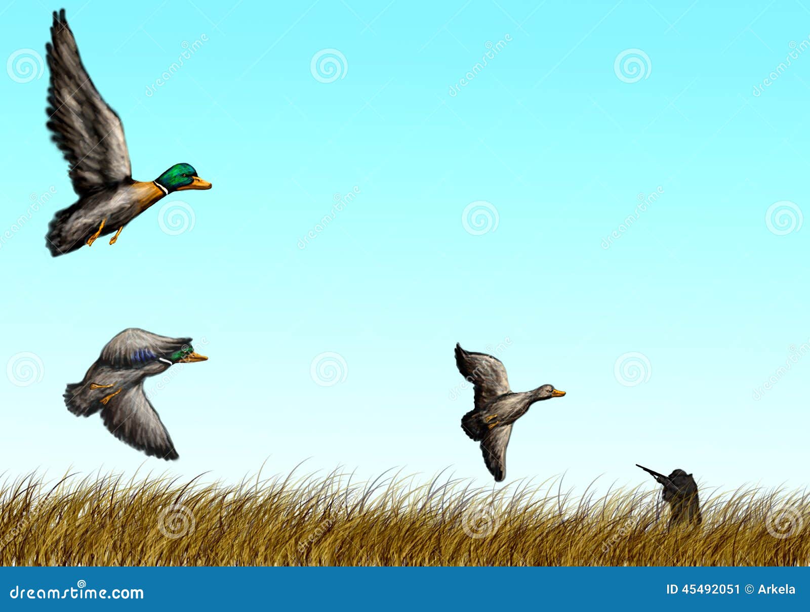 Duck hunting stock illustration. Illustration of mallard - 45492051