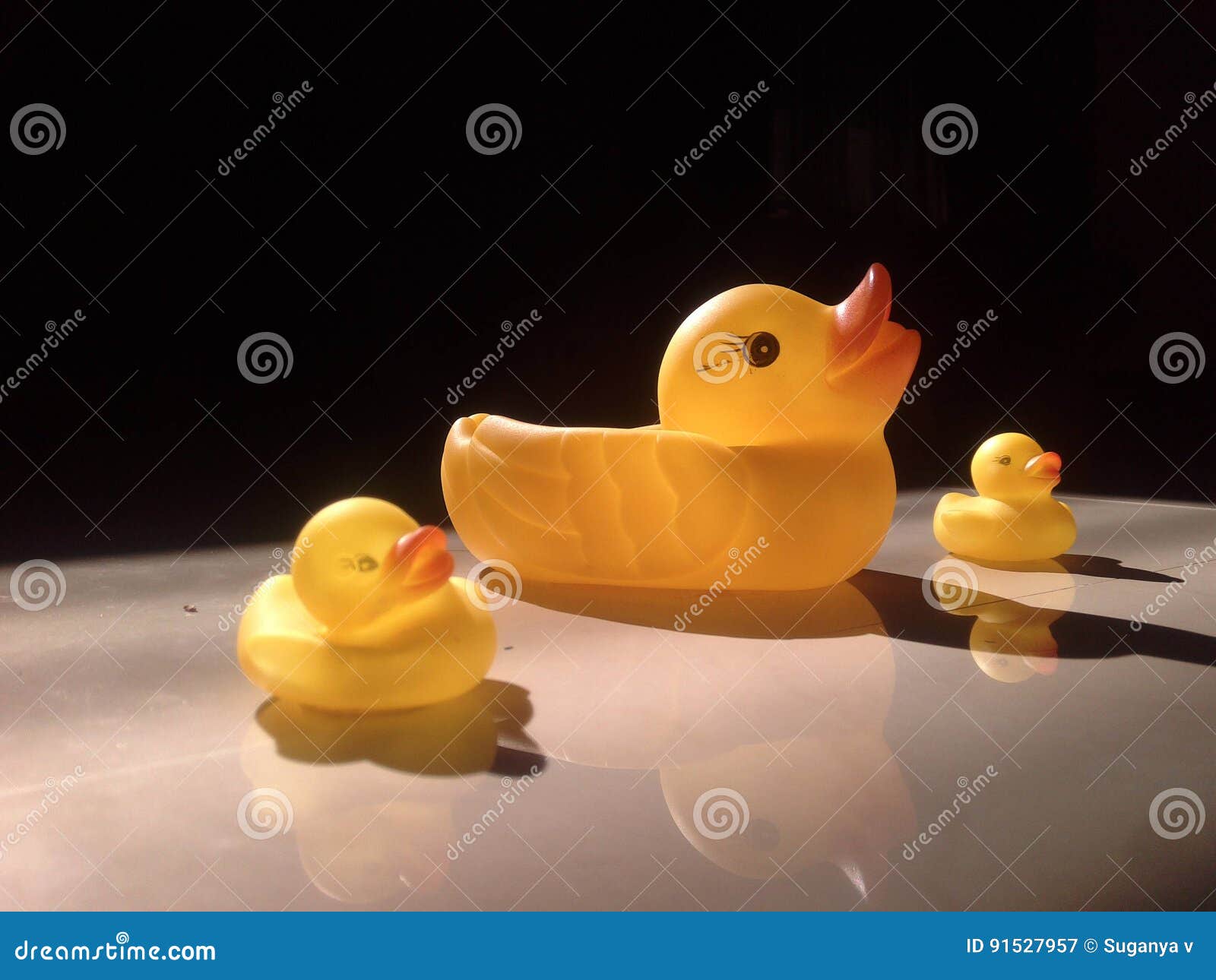 Duck stock image. Image of yellow, ducks, duck, imagine - 91527957