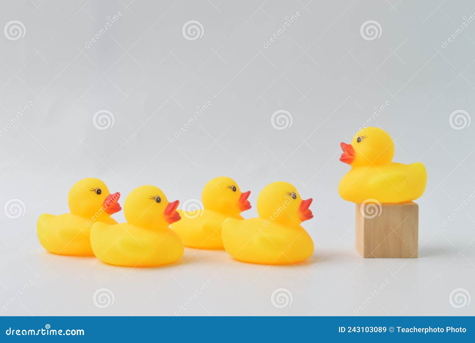 Duck Leader Standing in Front of the Group Stock Image - Image of goal ...