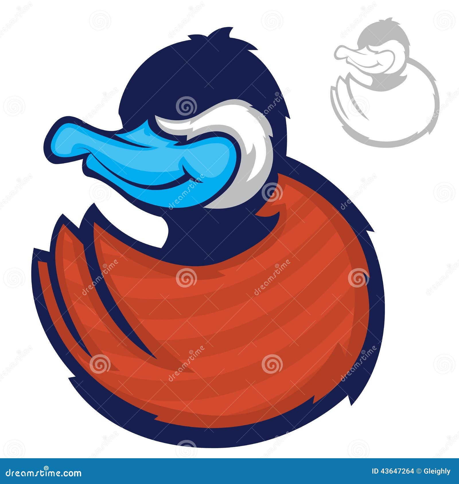 Blue Billed Duck Or Oxyura Australis Side View Isolated Background Art ...