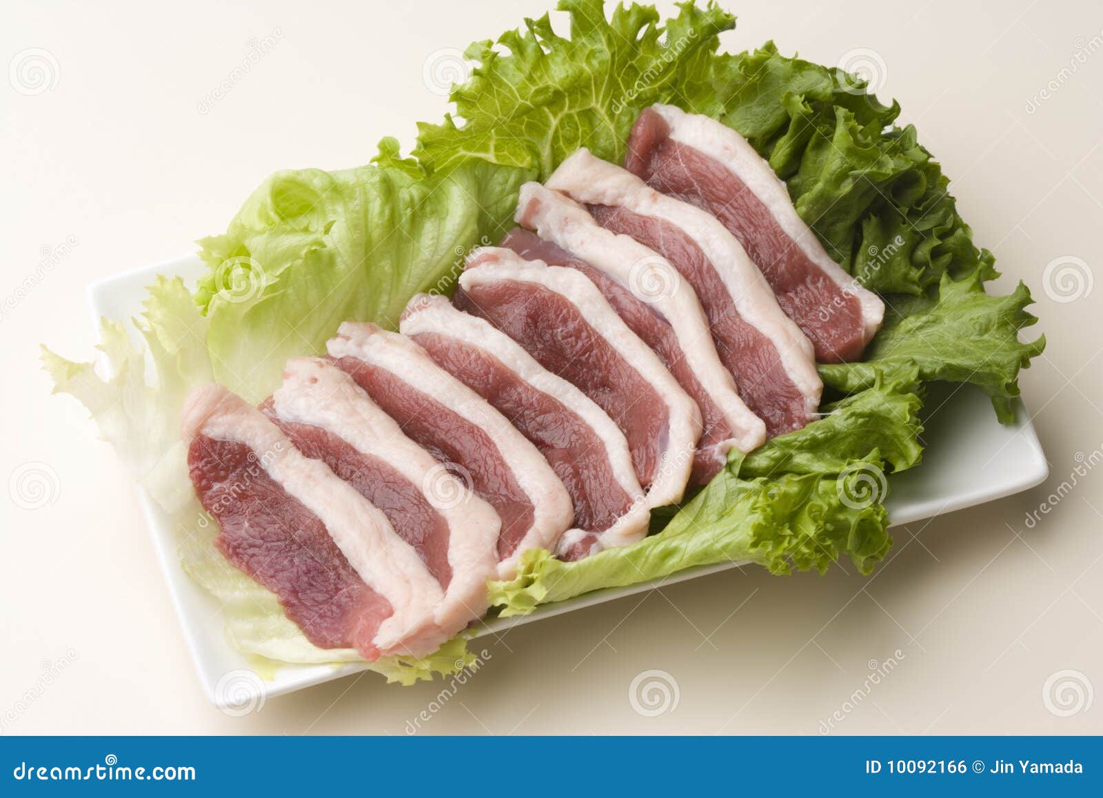 Duck meat stock photo. Image of duck, slice, food, iwate - 10092166