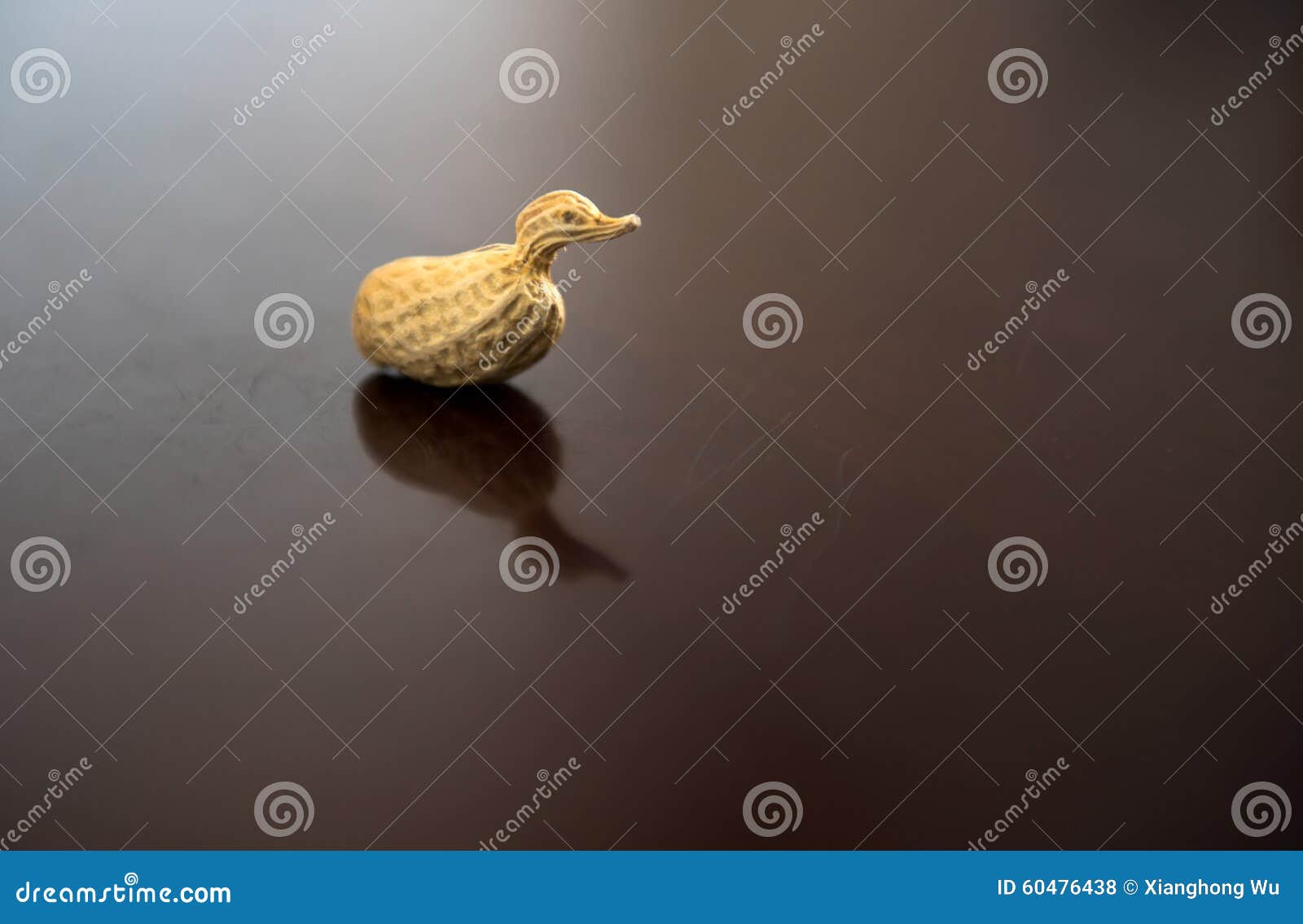 Duck Modelling Peanut stock photo. Image of desert, cooking - 60476438