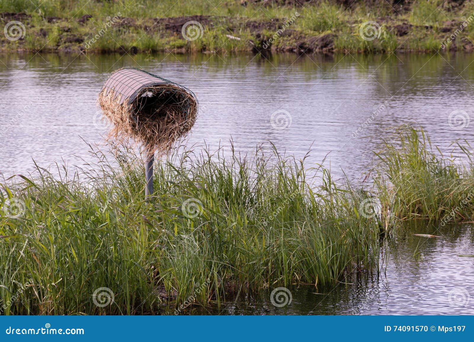 Duck Nesting Box at a Water Treatment Wetland in Finland Stock Photo ...