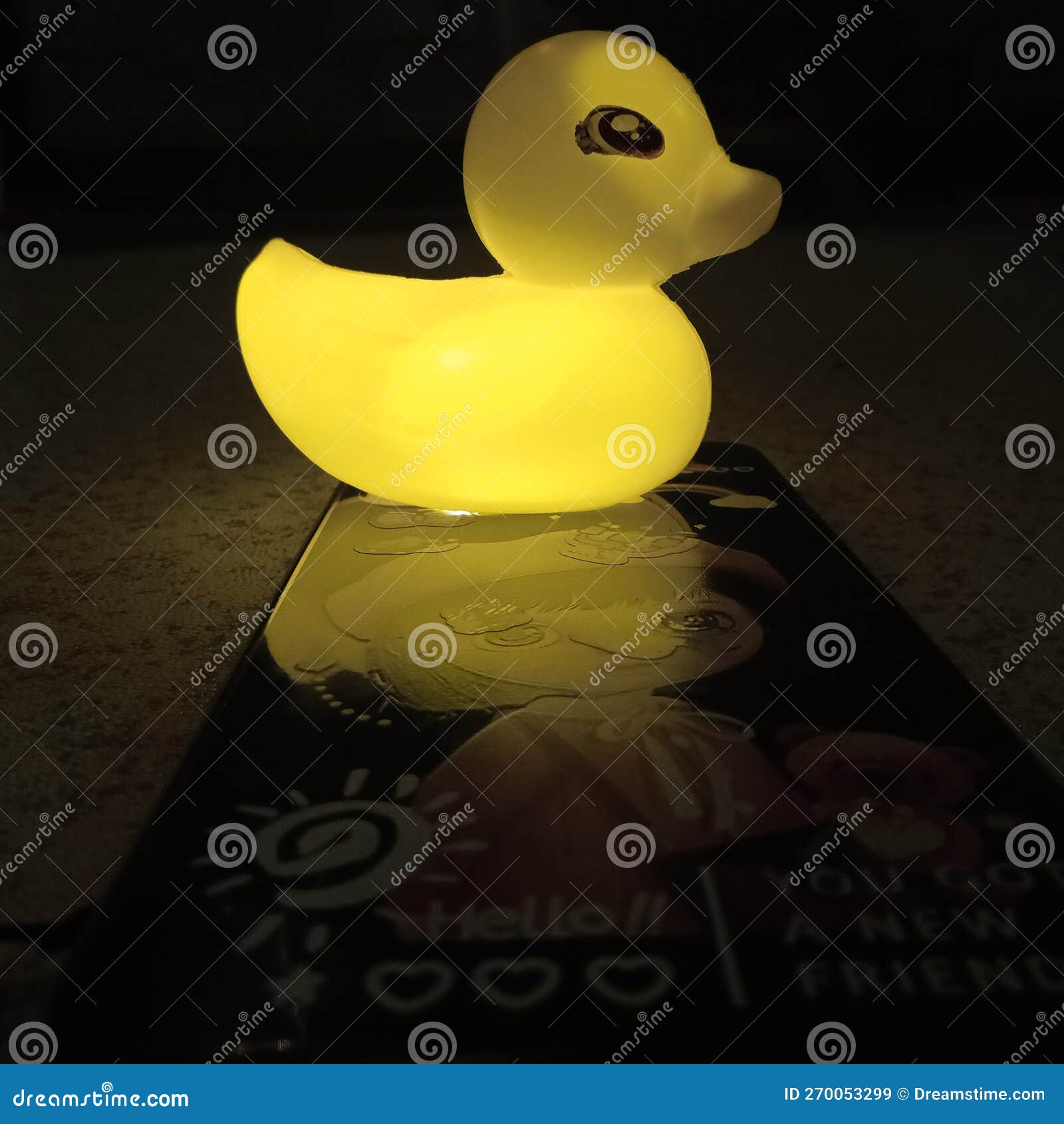 Duck night shadow stock image. Image of duck, light - 270053299