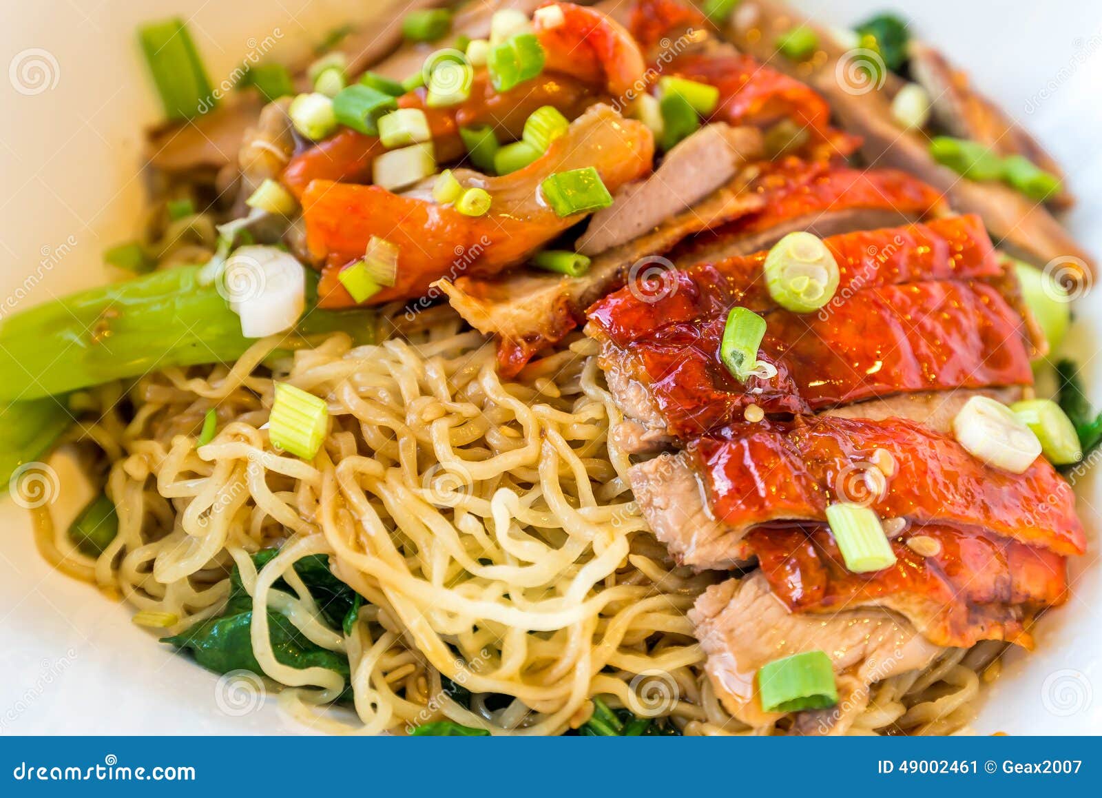Duck noodle stock image. Image of chow, mein, peking - 49002461