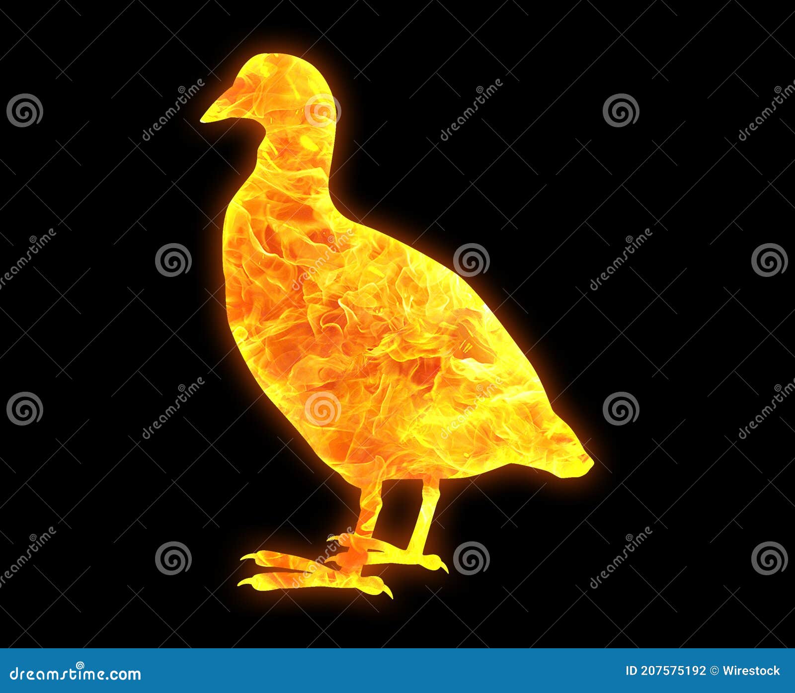 Duck Fire Vector | CartoonDealer.com #99477027
