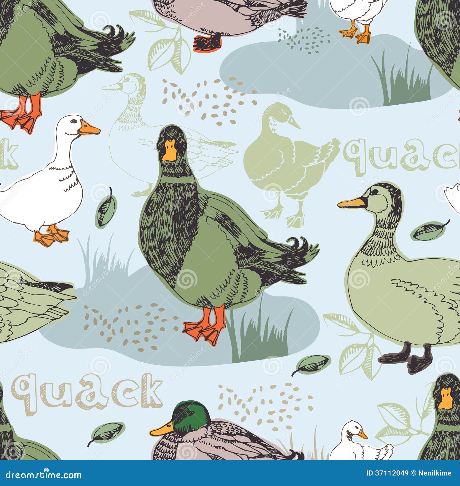 Duck pattern stock vector. Illustration of mammal, drawn - 37112049