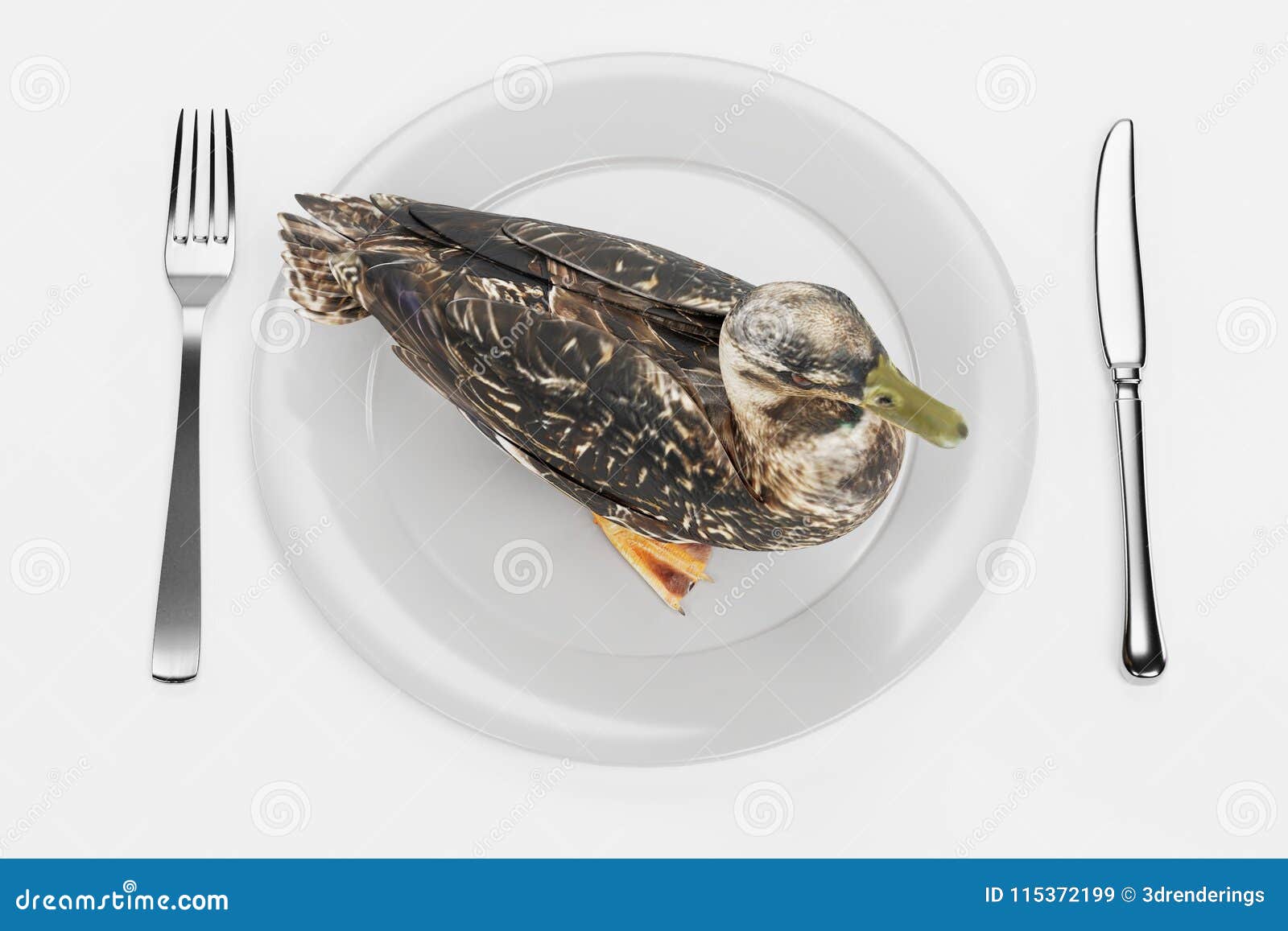 Duck on Plate stock image. Image of animal, bird, alive - 115372199