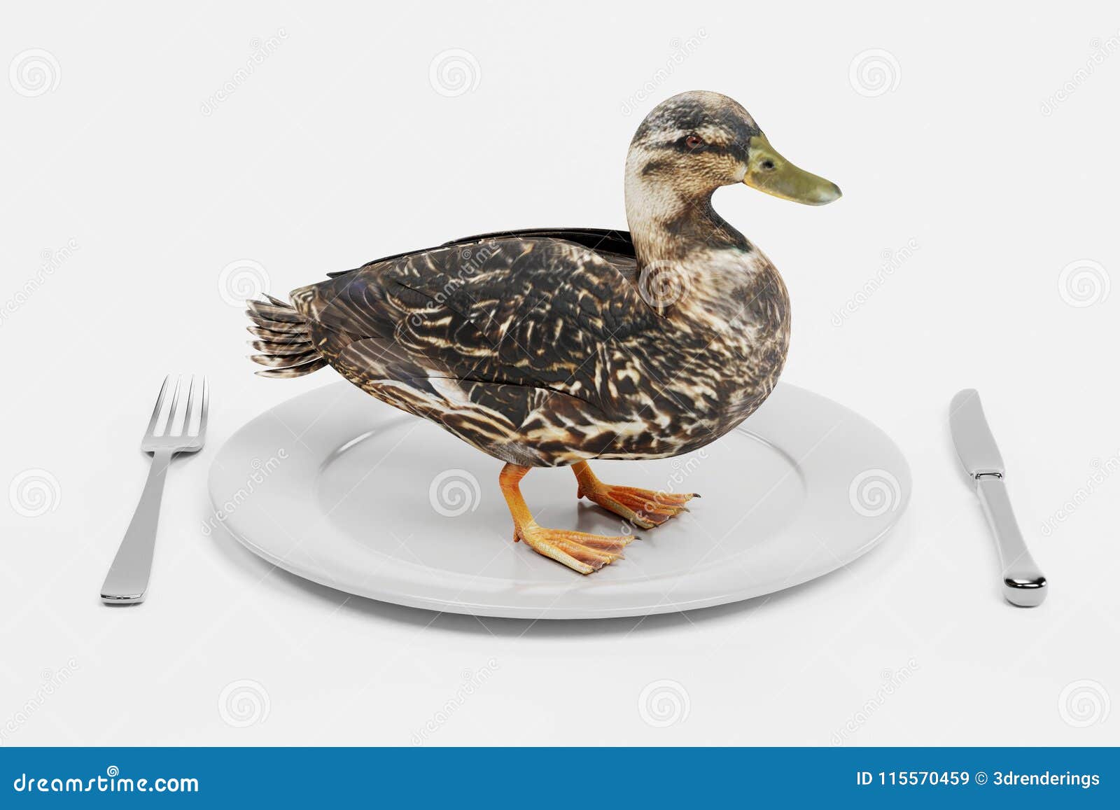 Duck on Plate stock illustration. Illustration of food - 115570459
