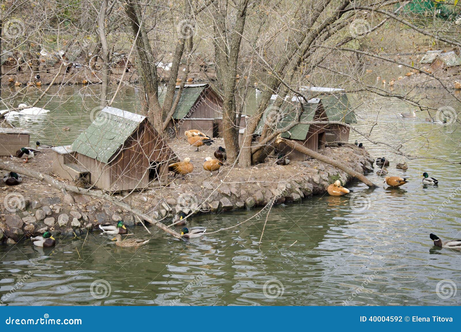 Attachmate 035945 reflection for ibm ms32 : teobramap