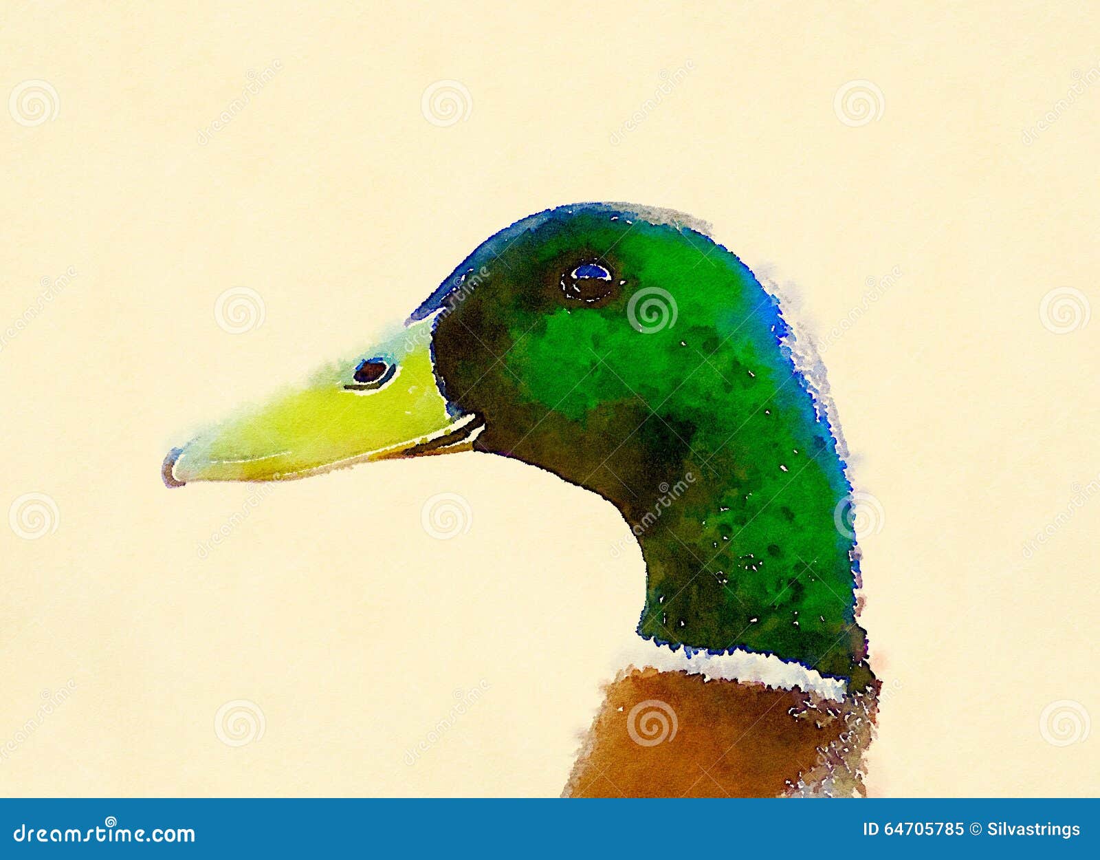 Duck Profile Stock Illustrations – 788 Duck Profile Stock Illustrations ...